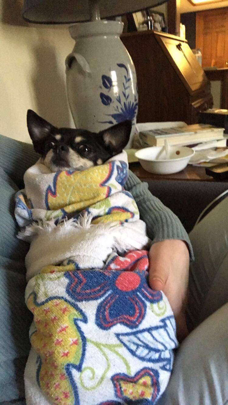 She’s truly my child | Scrolller