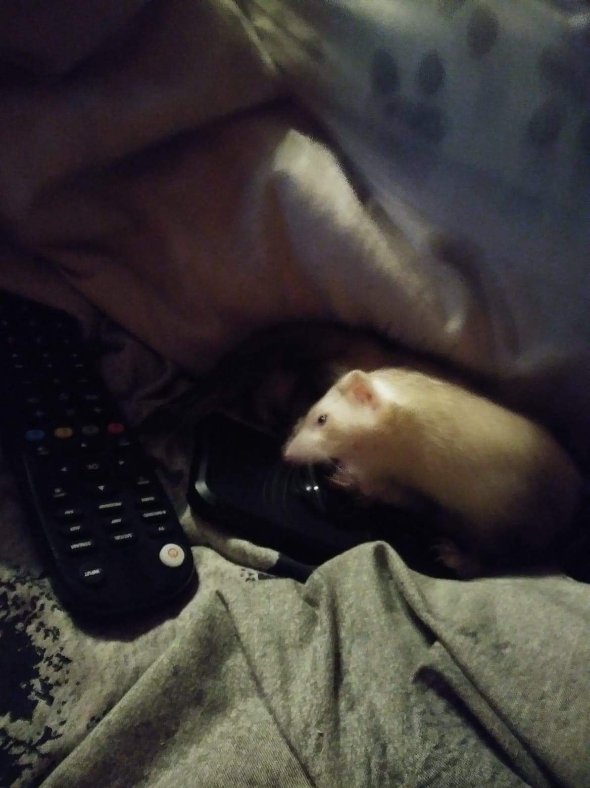 She wanted to change what we were watching... the controller doesnt work when you bite it ...