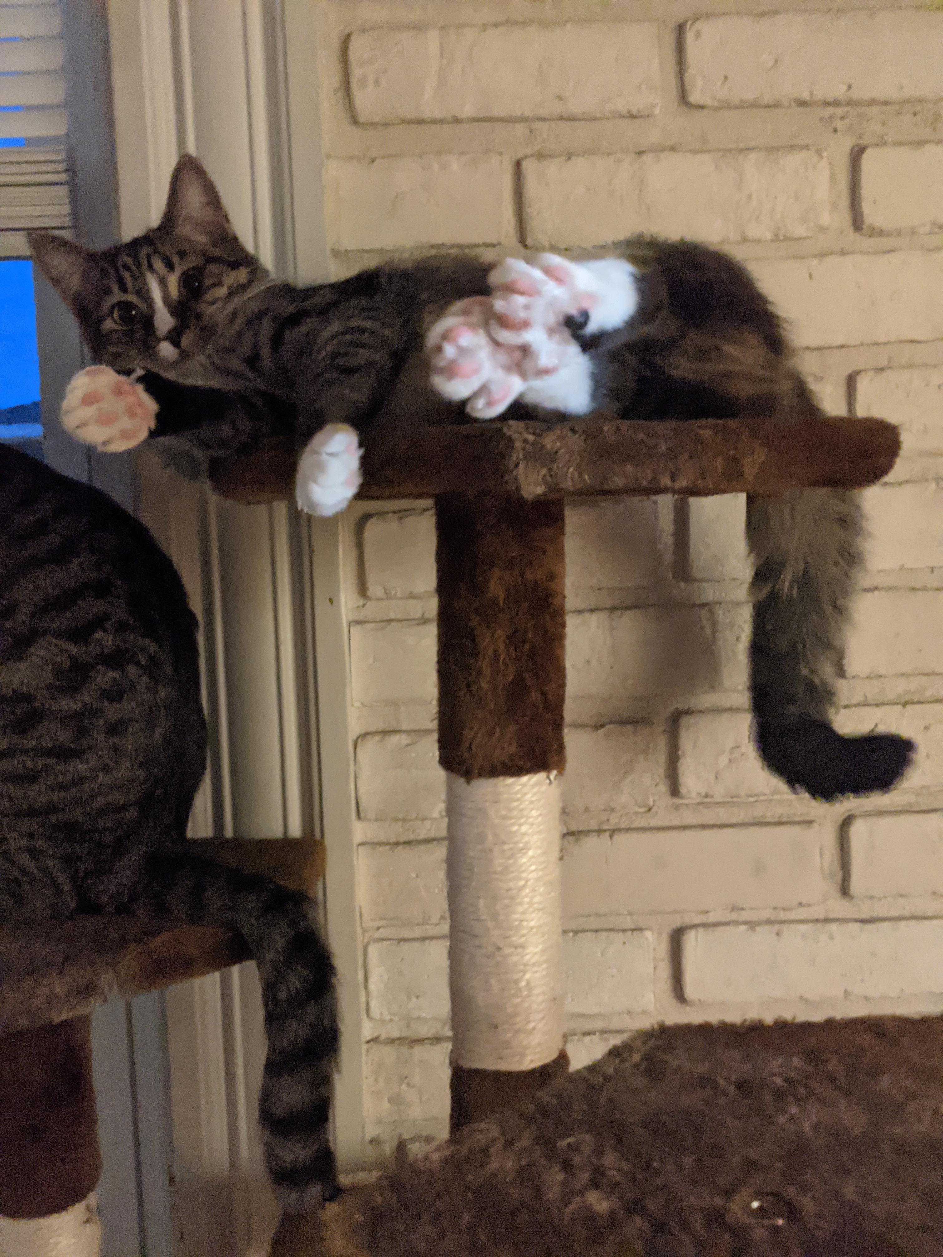 She wanted to show you her beans 😂 | Scrolller