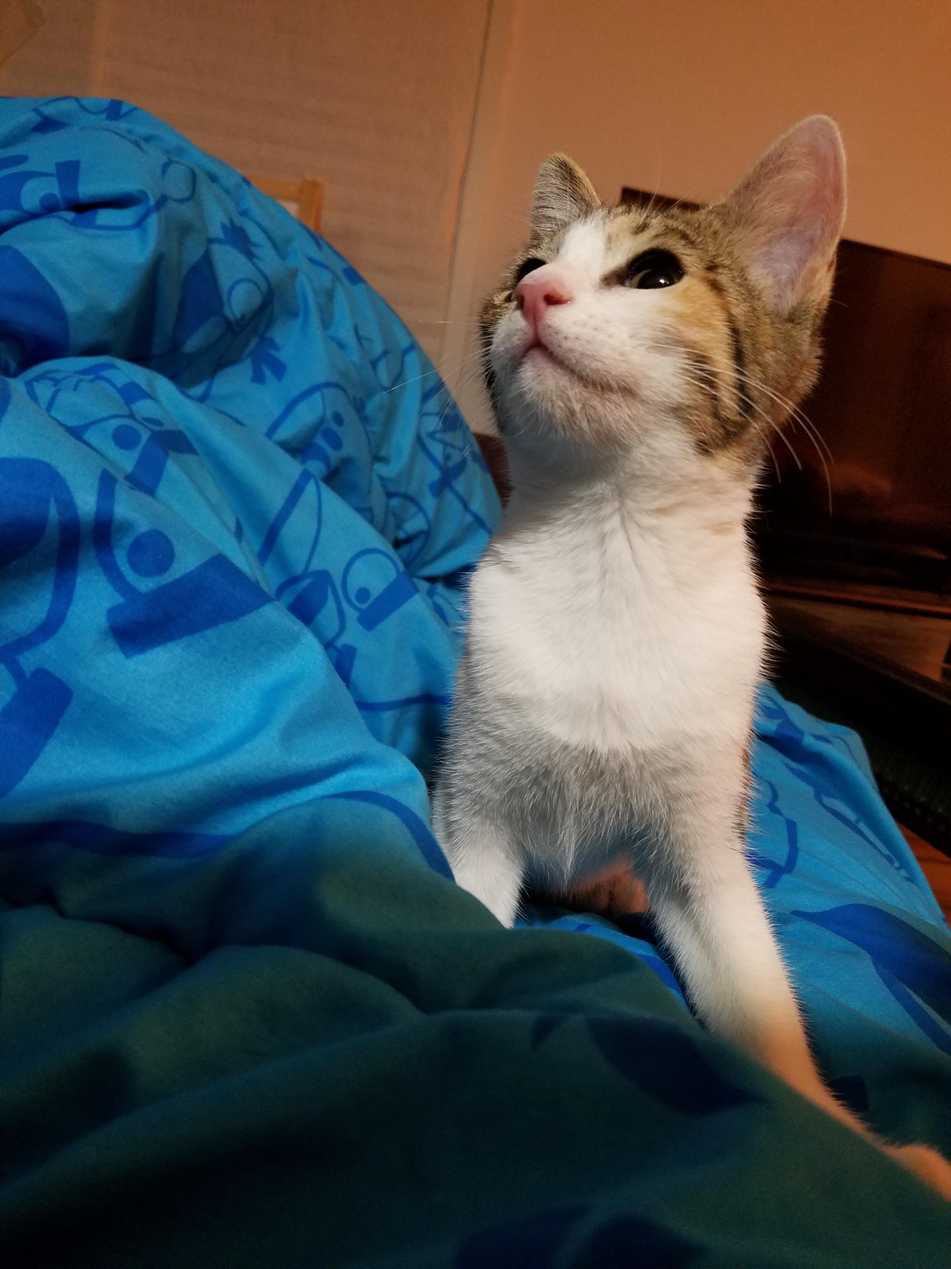 She was sleeping peacefully until her Dad opened the garage door. | Scrolller