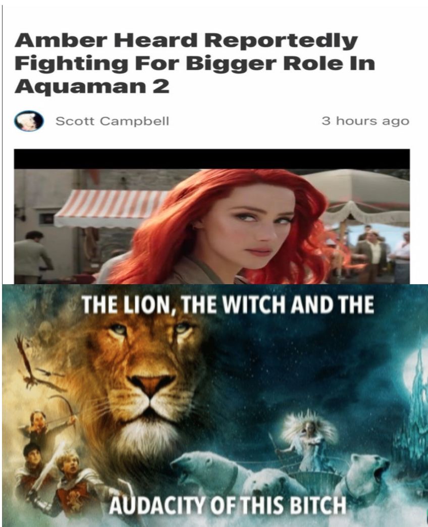 she will never learn | Scrolller