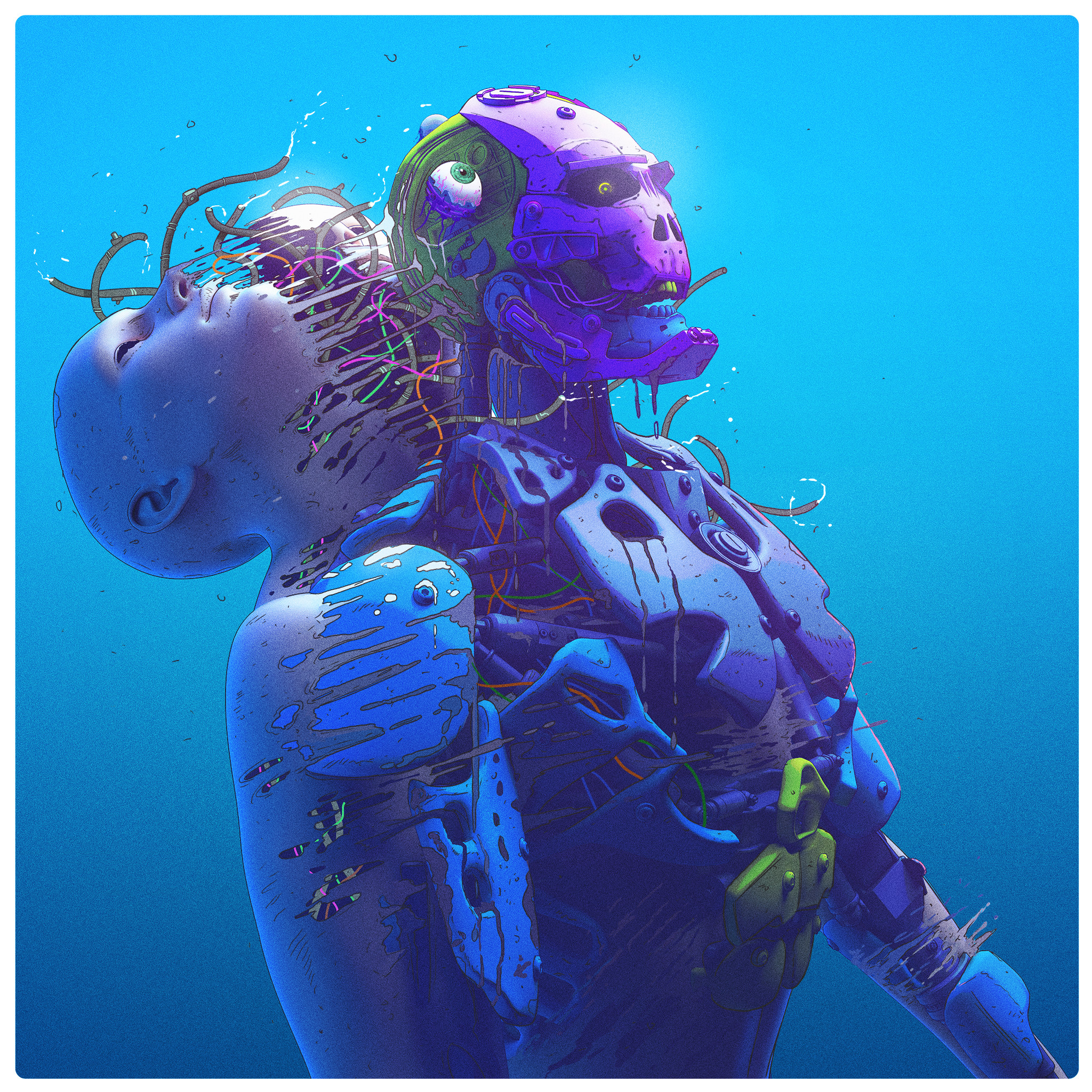 Shedding by Nick Sullo | Scrolller