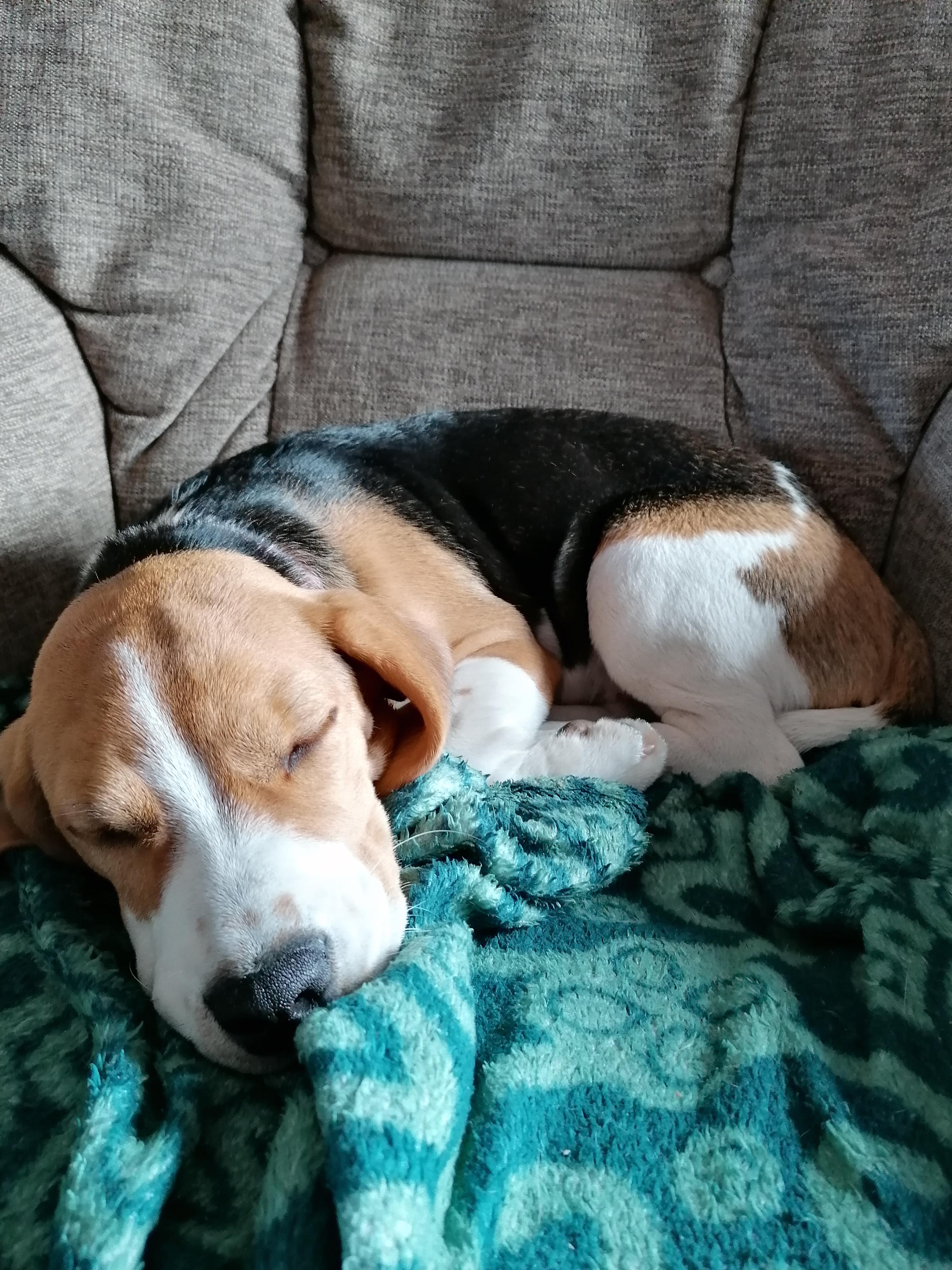 She's finally asleep. | Scrolller