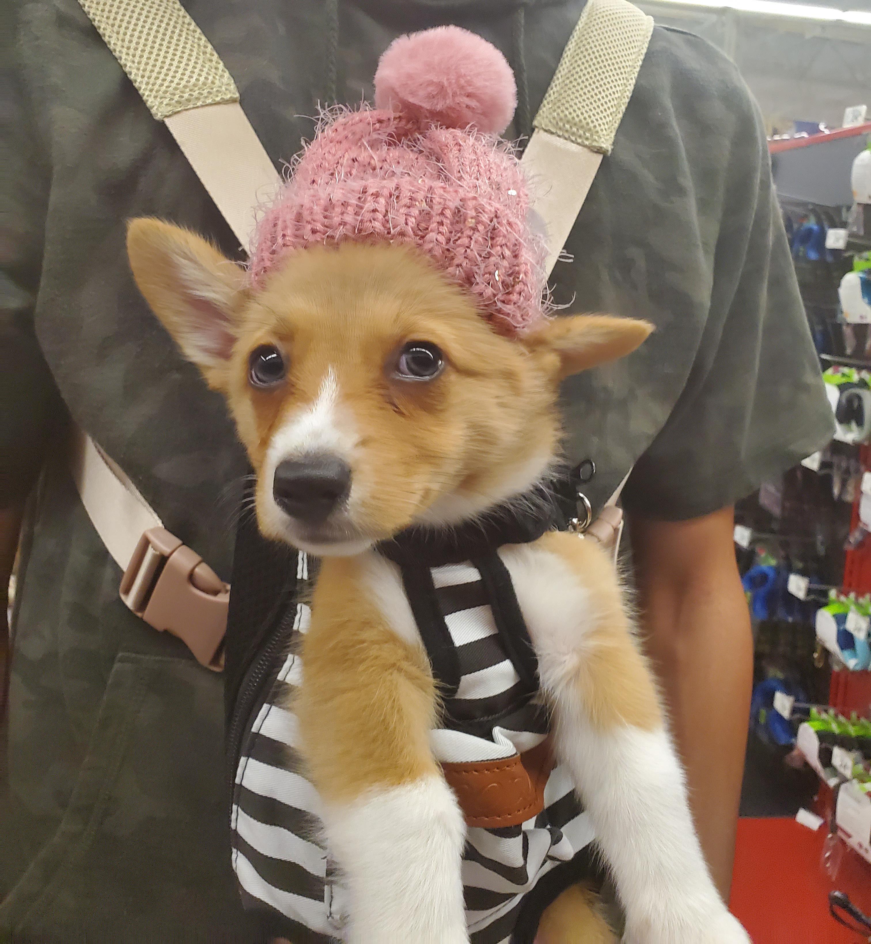 She's not amused | Scrolller