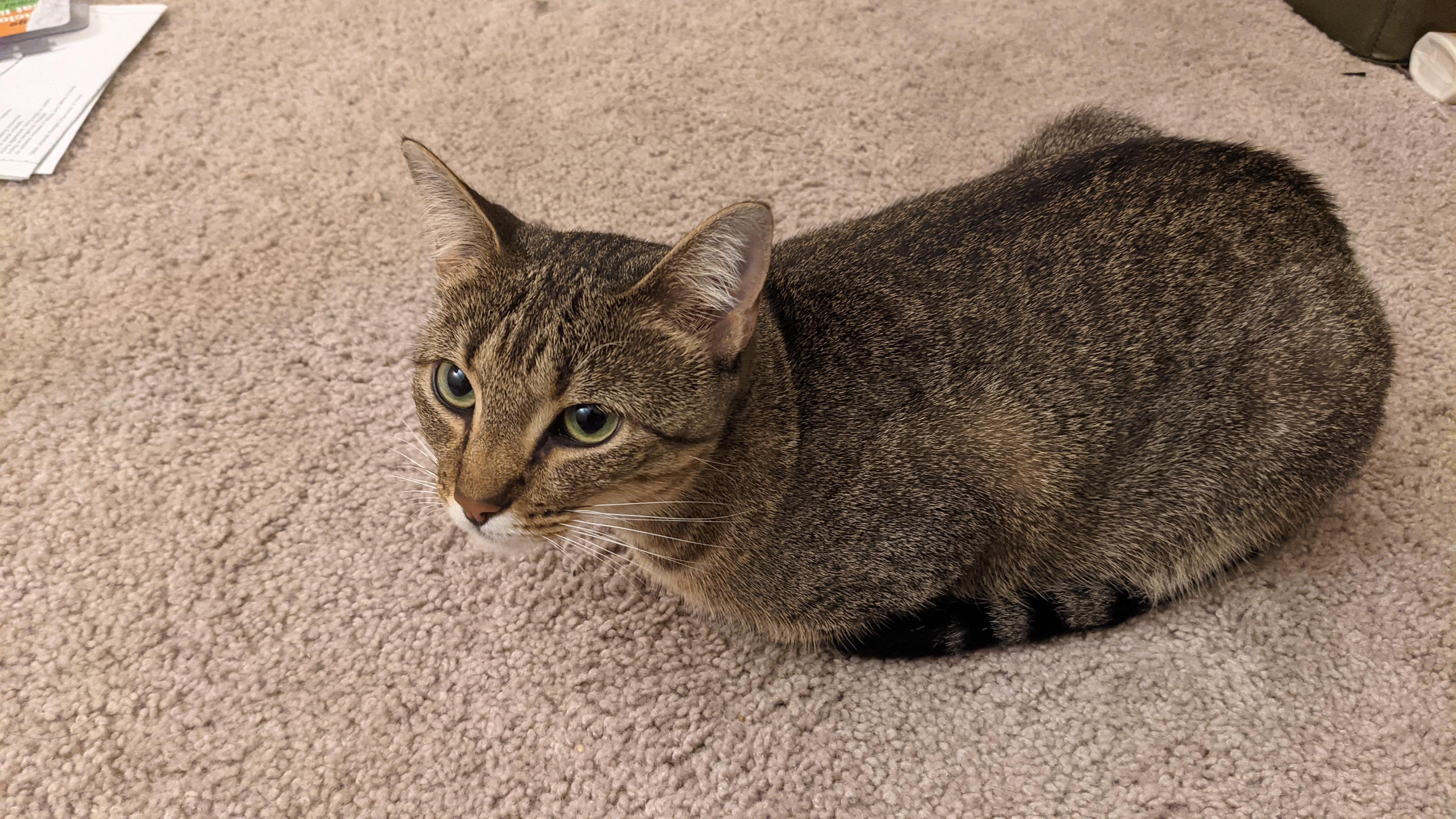 She's so sweet | Scrolller