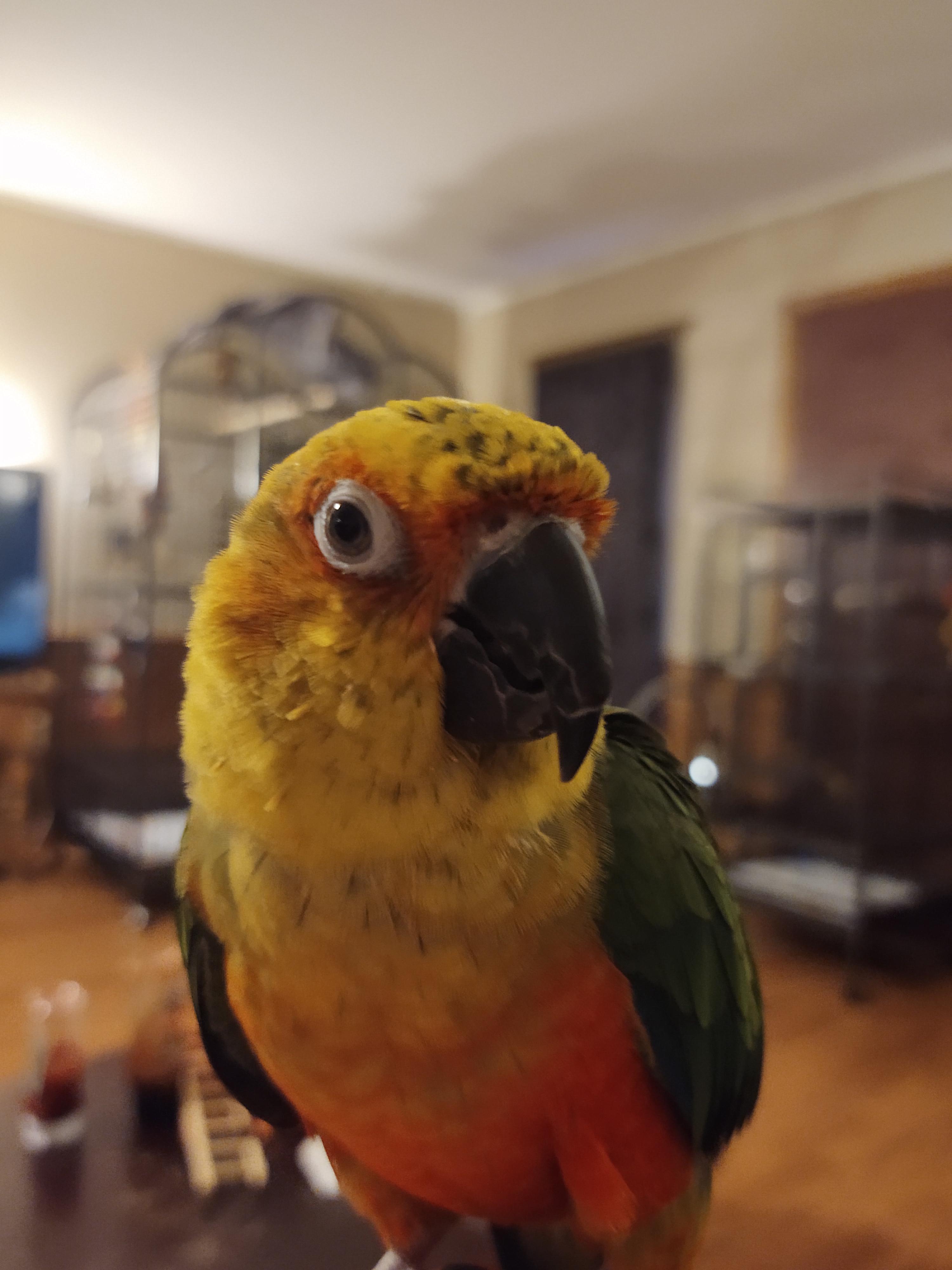 She's stoopid, but as pretty as can be. | Scrolller