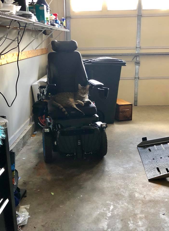 she's taken the chair! | Scrolller