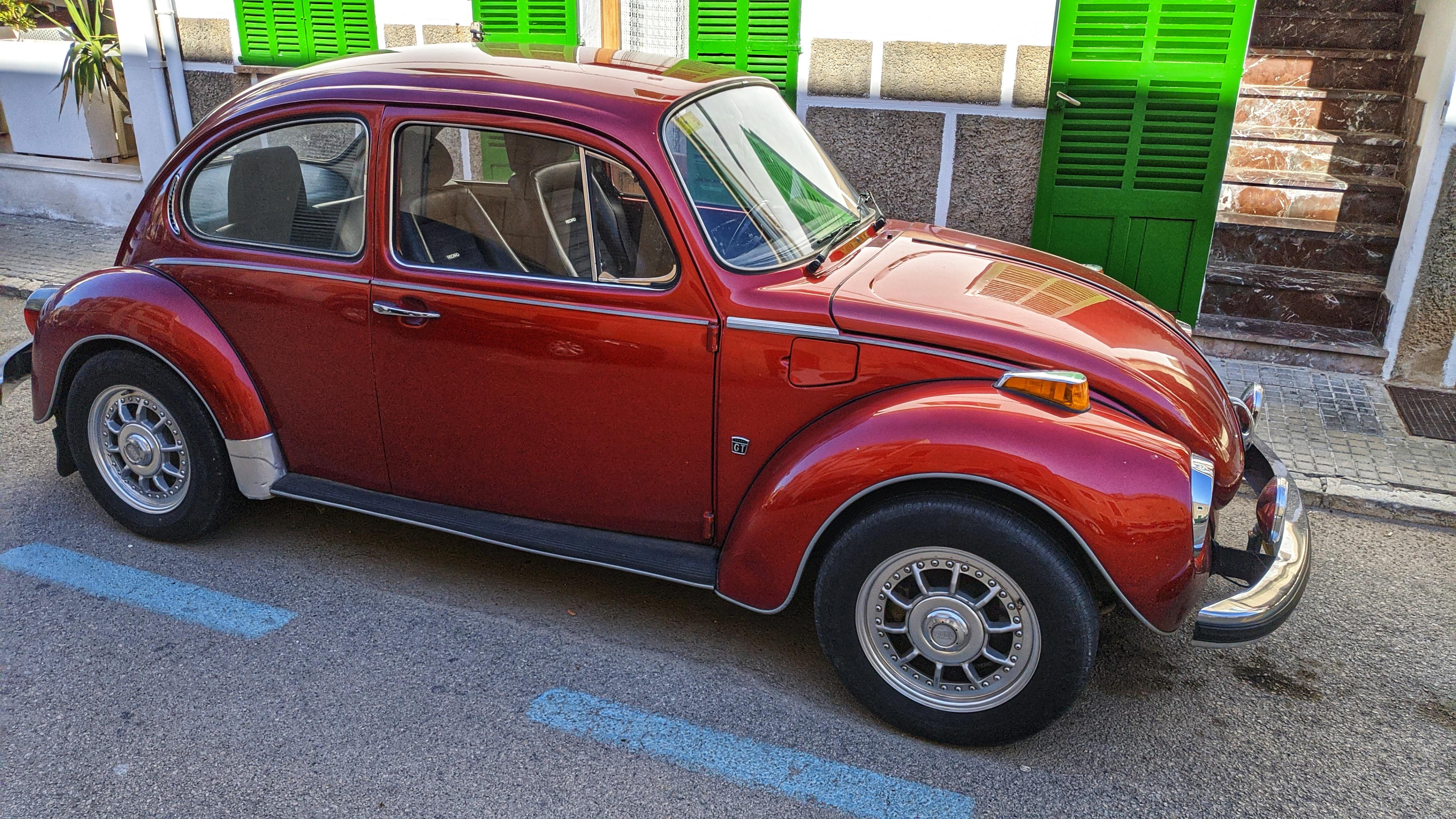 Shiny Spanish beetle | Scrolller