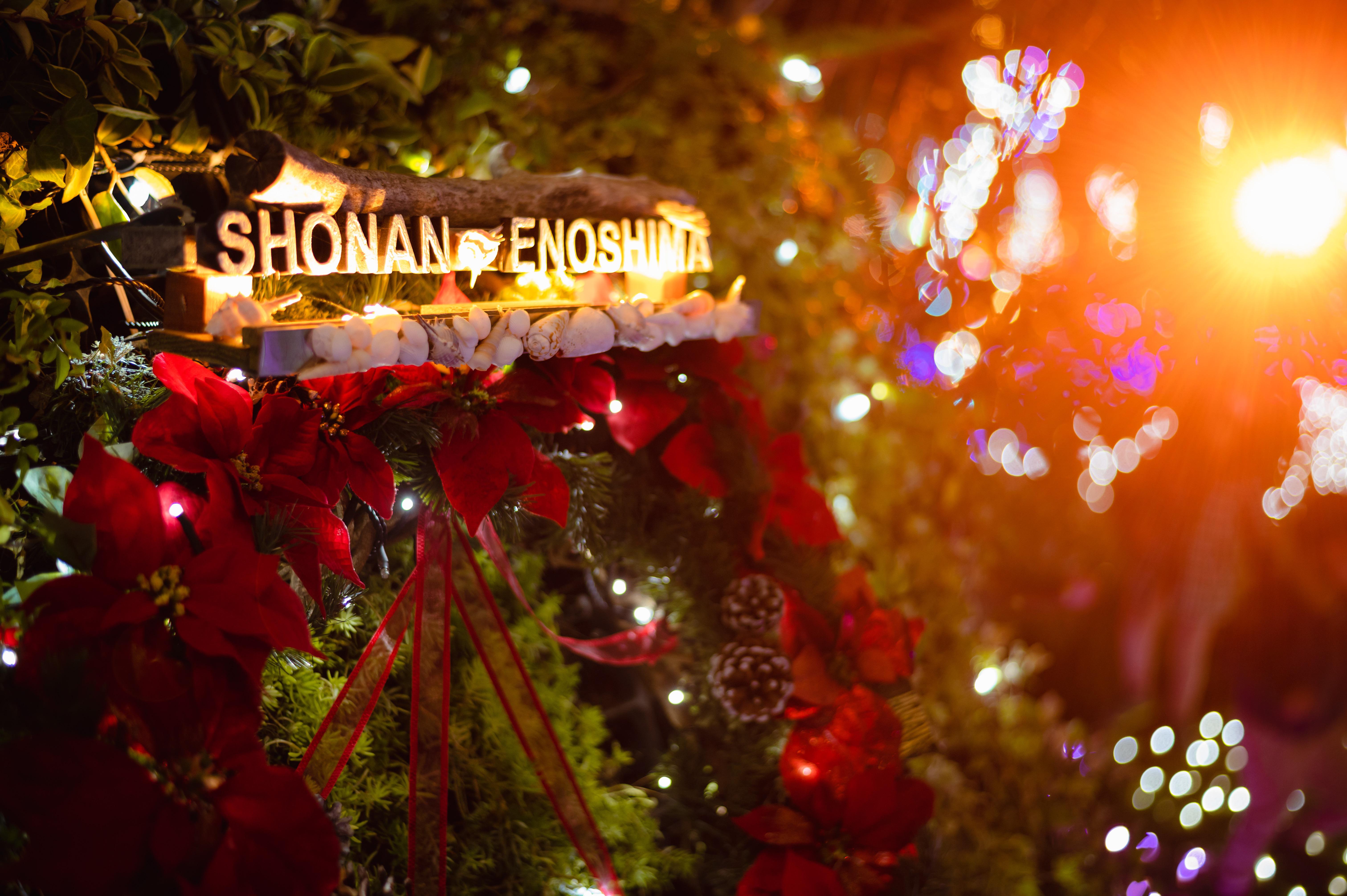 Shonan Enoshima.... Pretty Illumination lights ️ | Scrolller