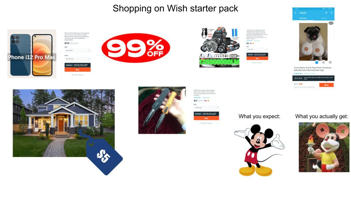 Shopping on Wish starter pack | Scrolller