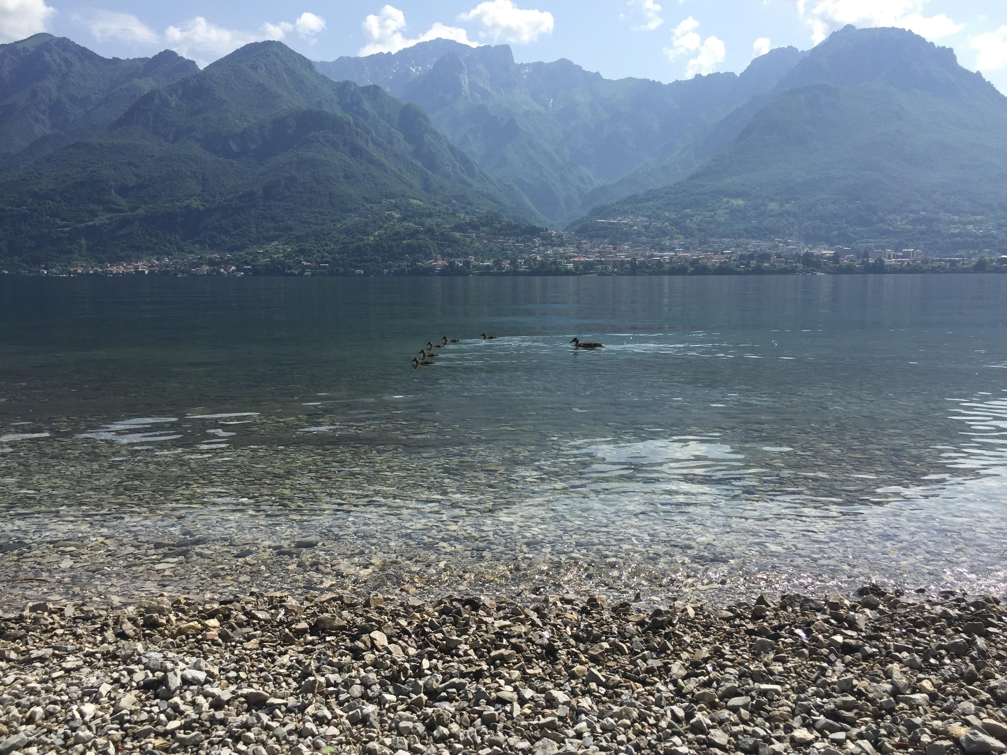 Shore of lake como, fukn orgasmic | Scrolller