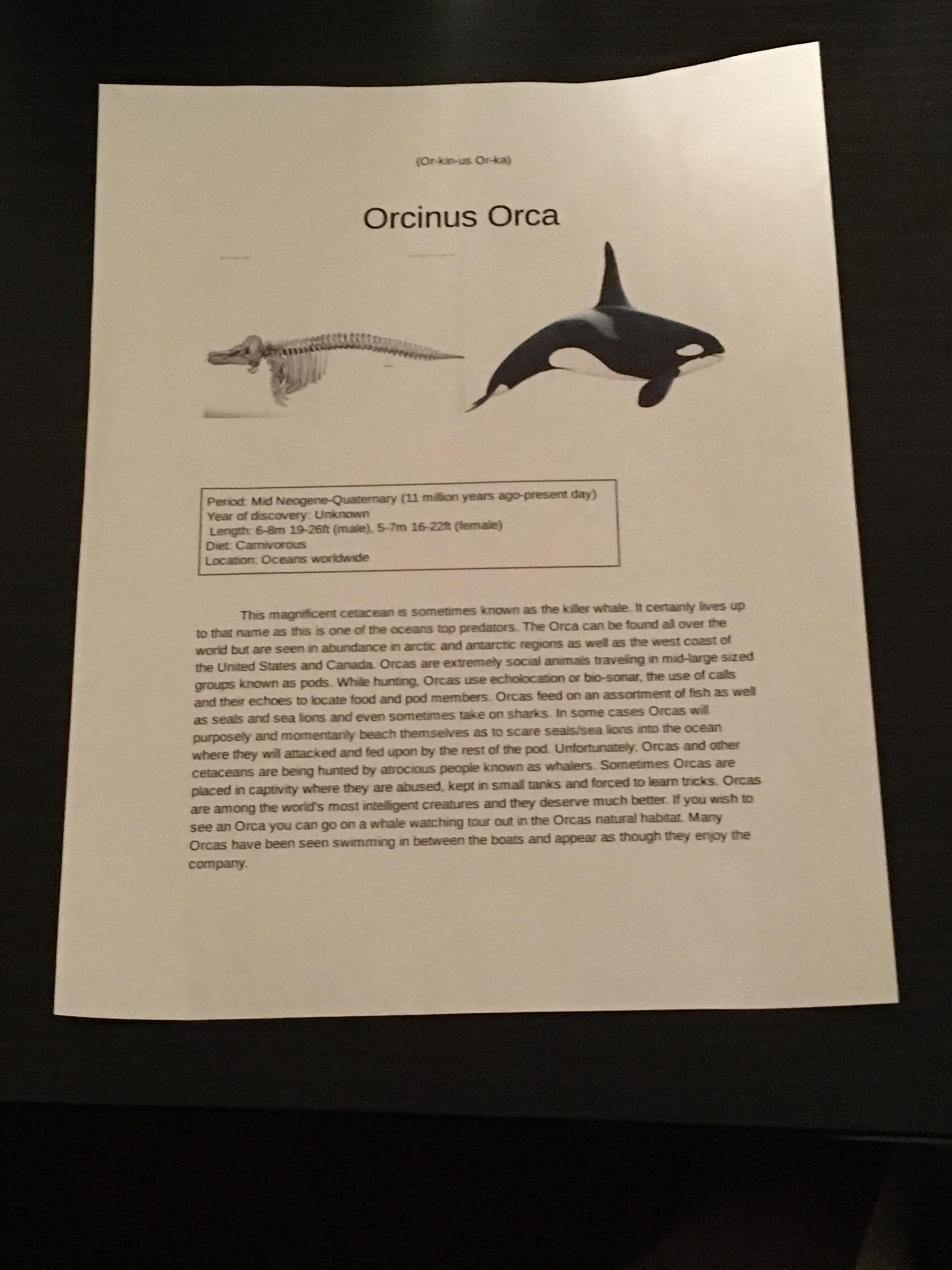 Short info sheet on the Orca! | Scrolller