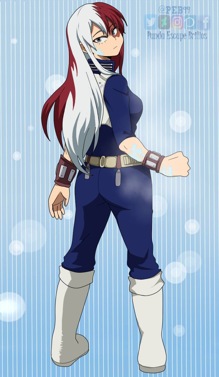 Shoto Todoroki [My Hero Academia] | Scrolller