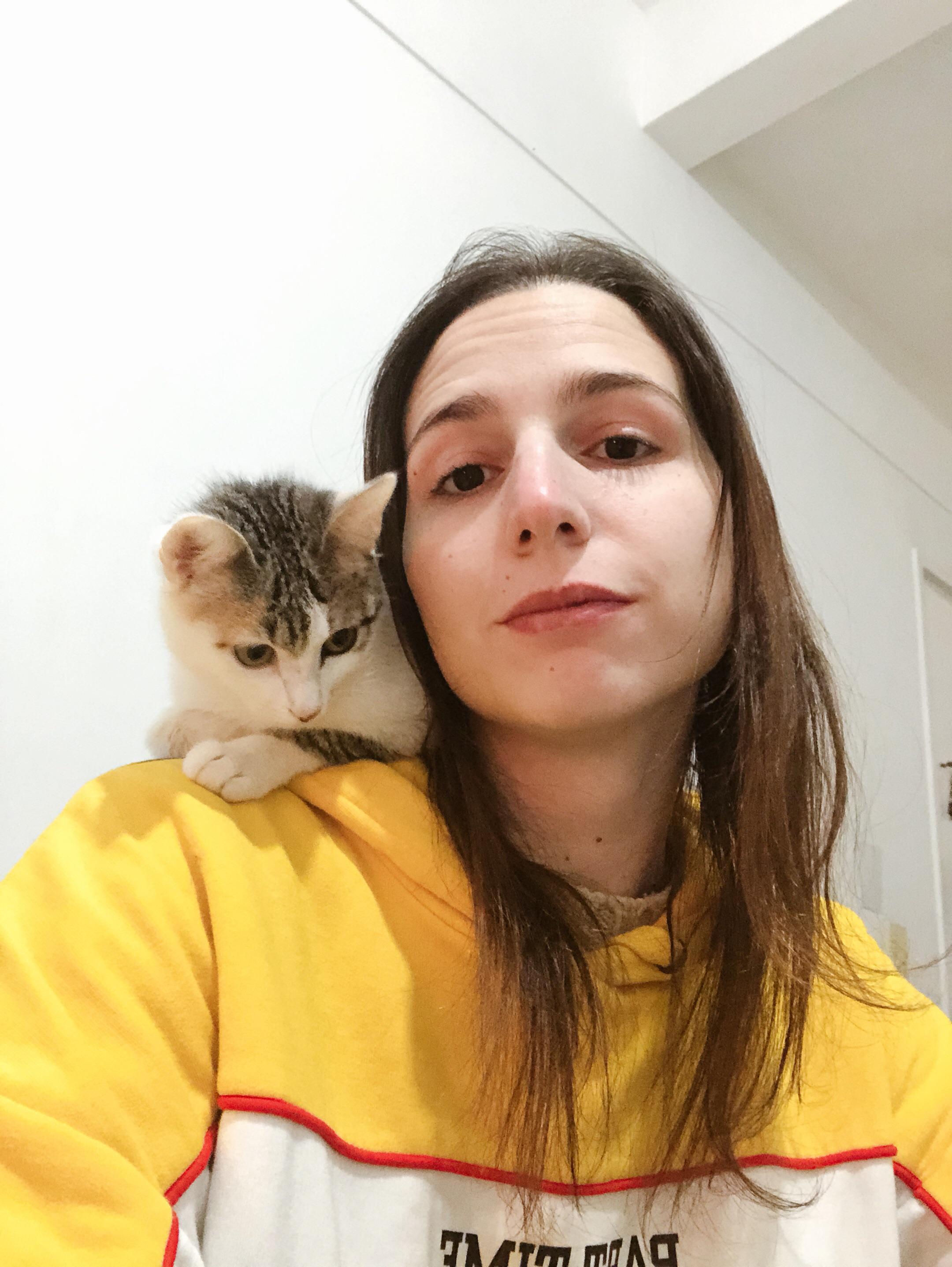 Shoulder cats!! Everyone meet my PokeMomo! | Scrolller