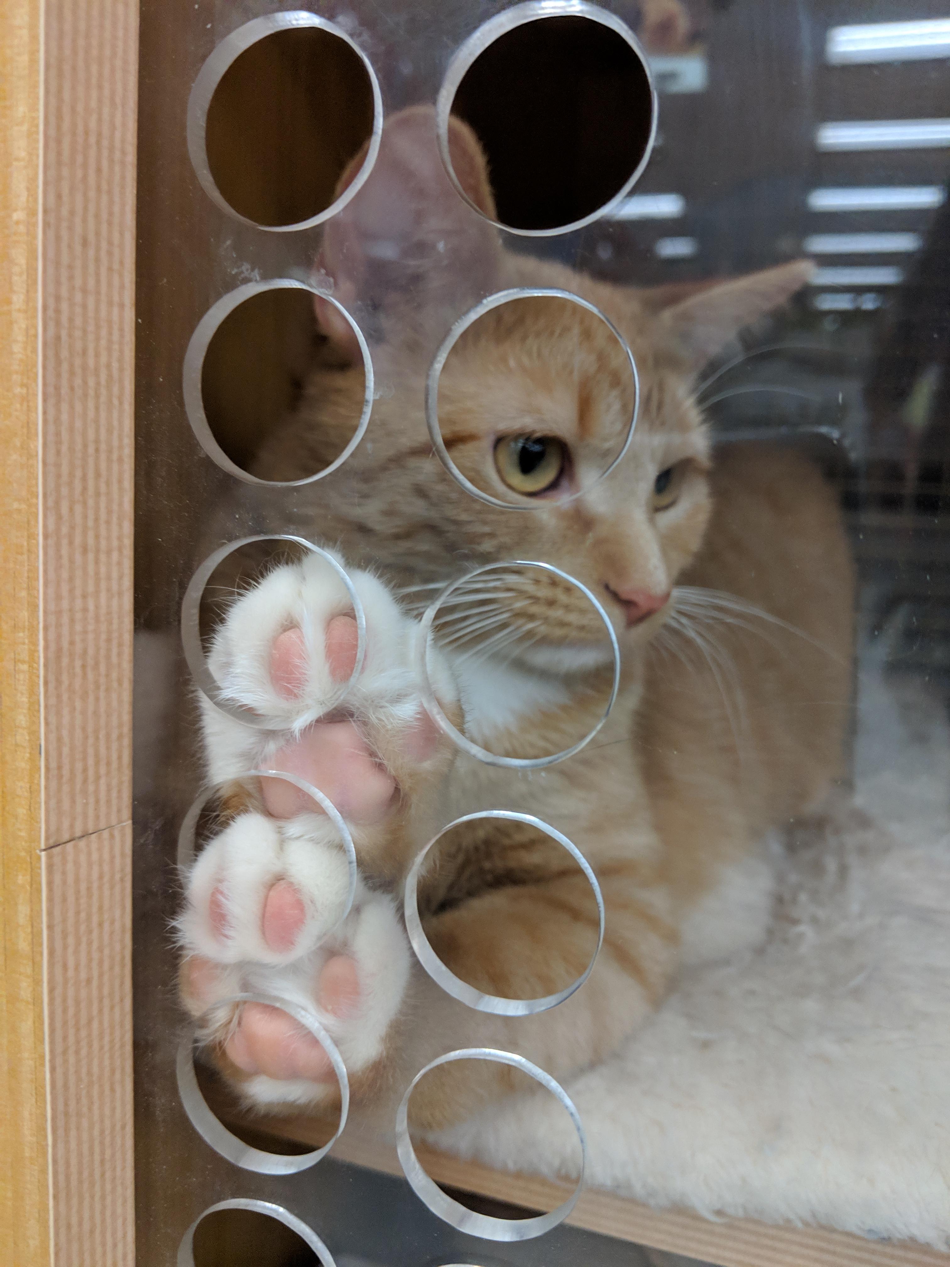 Showing off her pink beans | Scrolller