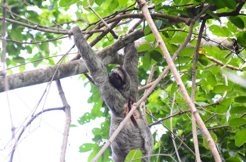 showing off his manly back-patch | Scrolller