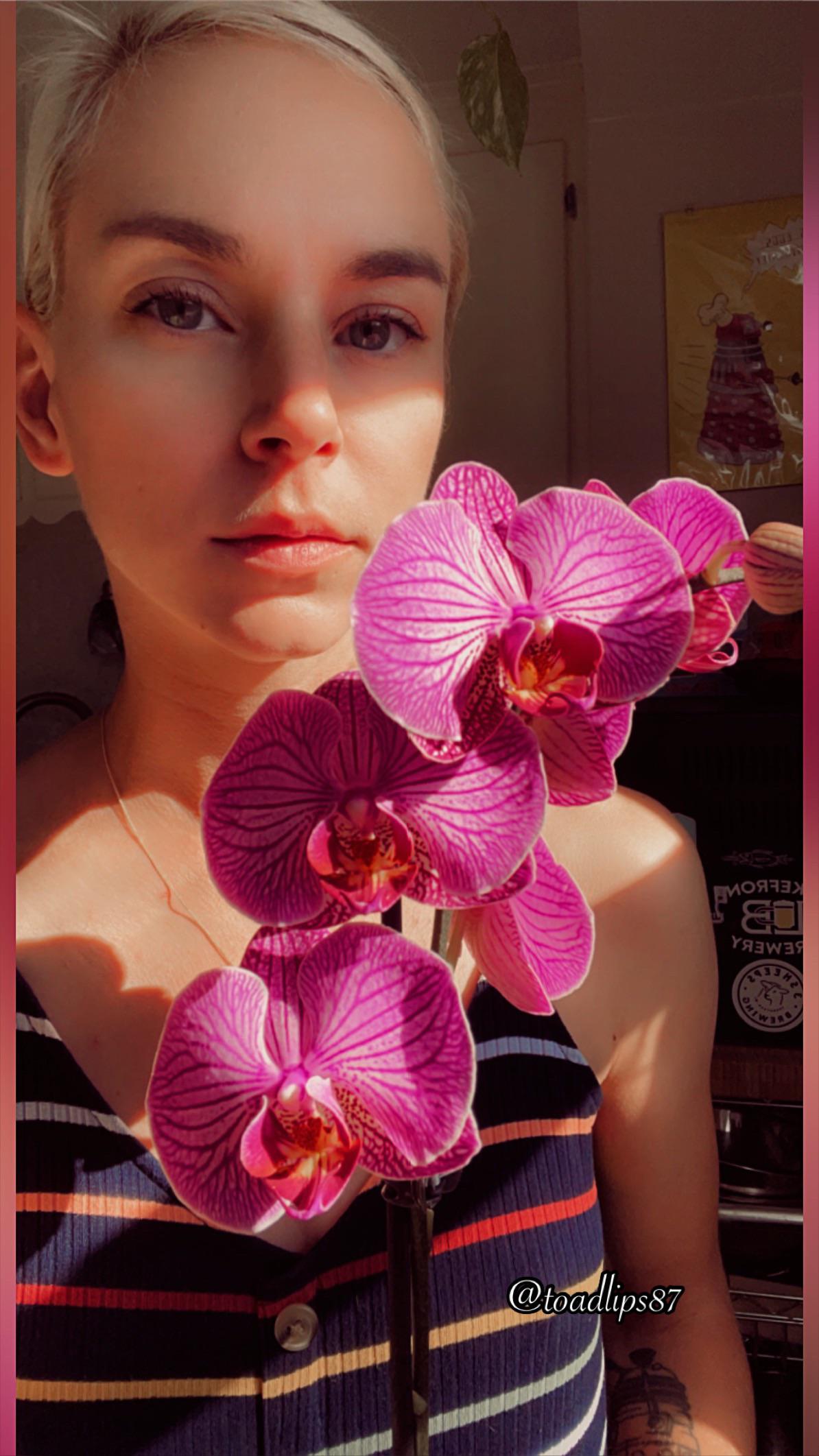 Showing off my orchid | Scrolller