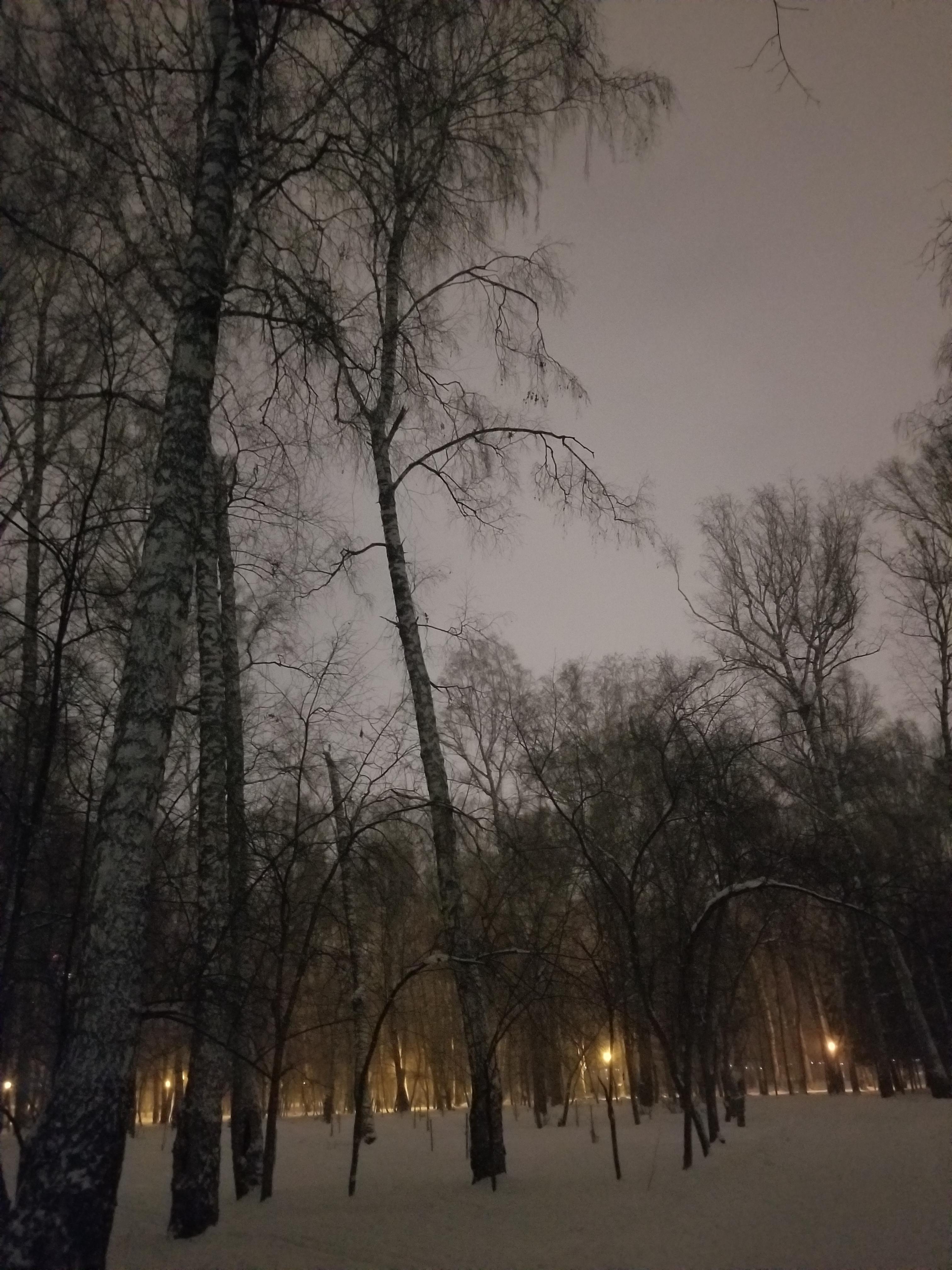Siberian Nightwalk | Scrolller