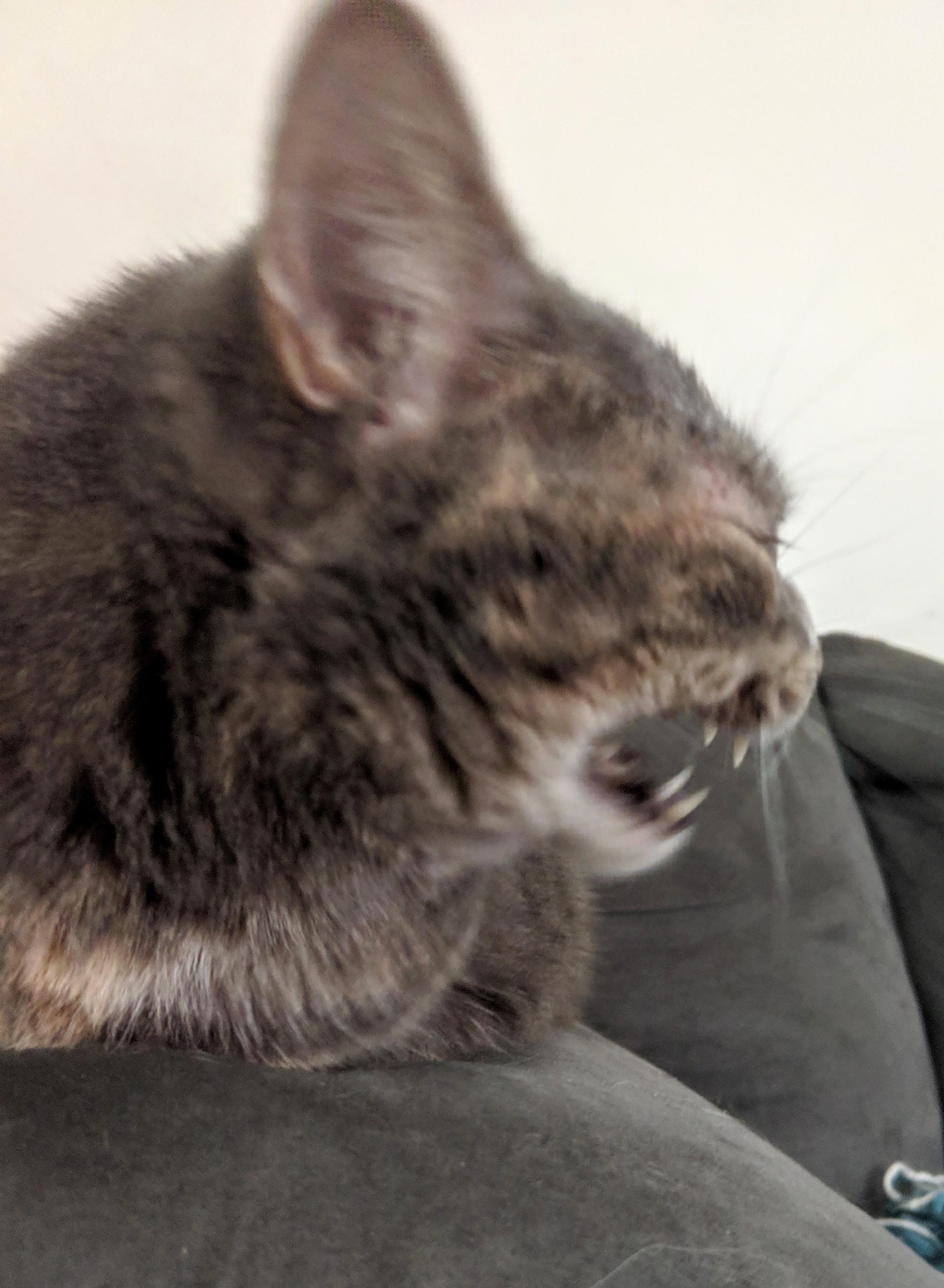 side scrunge | Scrolller