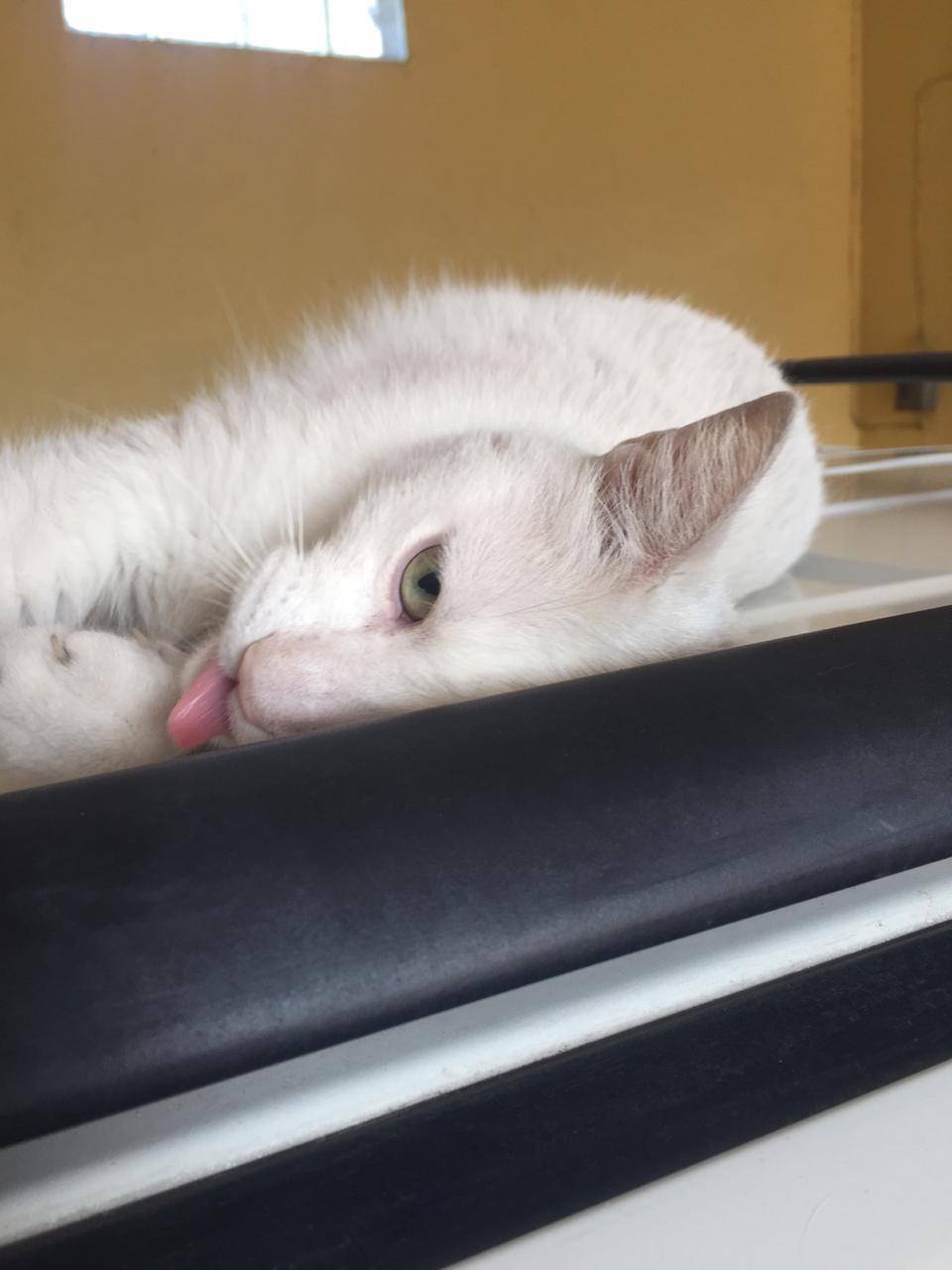 Sideway mlem 🙃 | Scrolller
