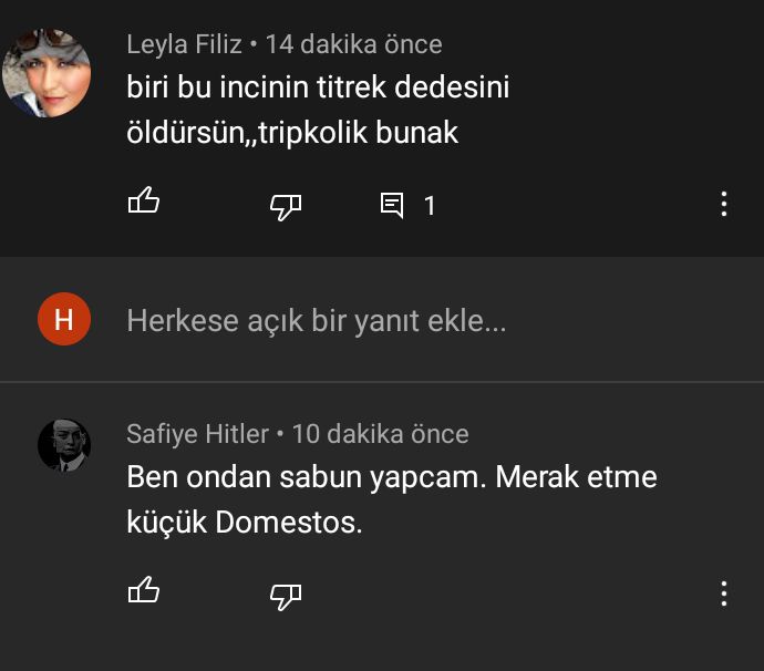 Sieg Heil Safiye! (Bende bu kafadan istiyorum) | Scrolller