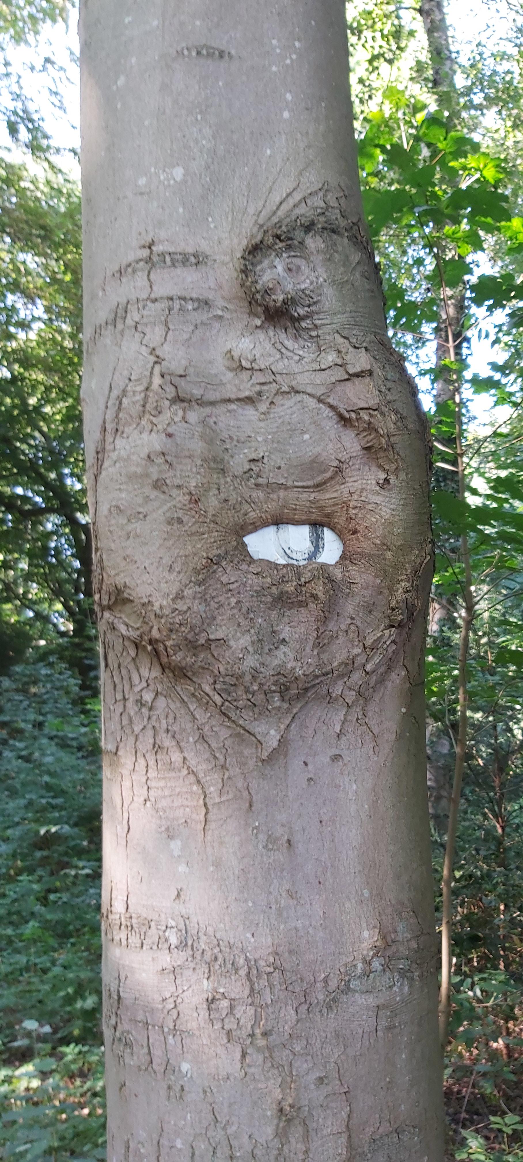 Sign almost completely devoured | Scrolller