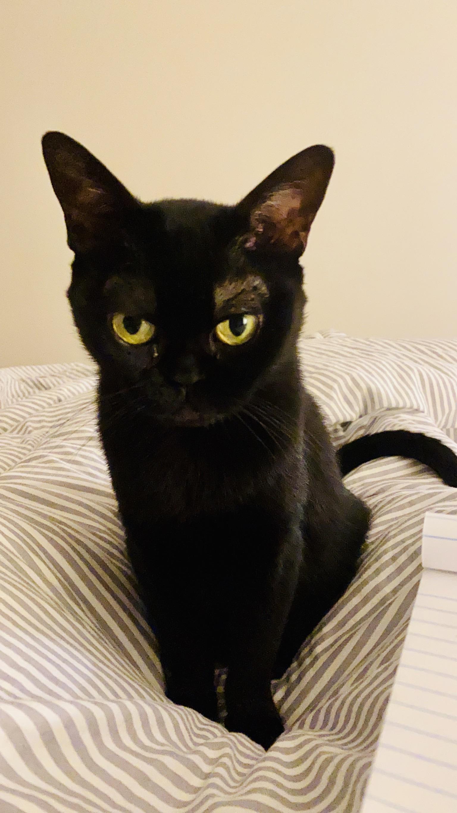 Silently judging | Scrolller