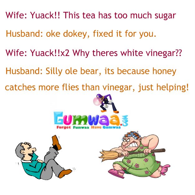 Silly Ole Bear | Scrolller