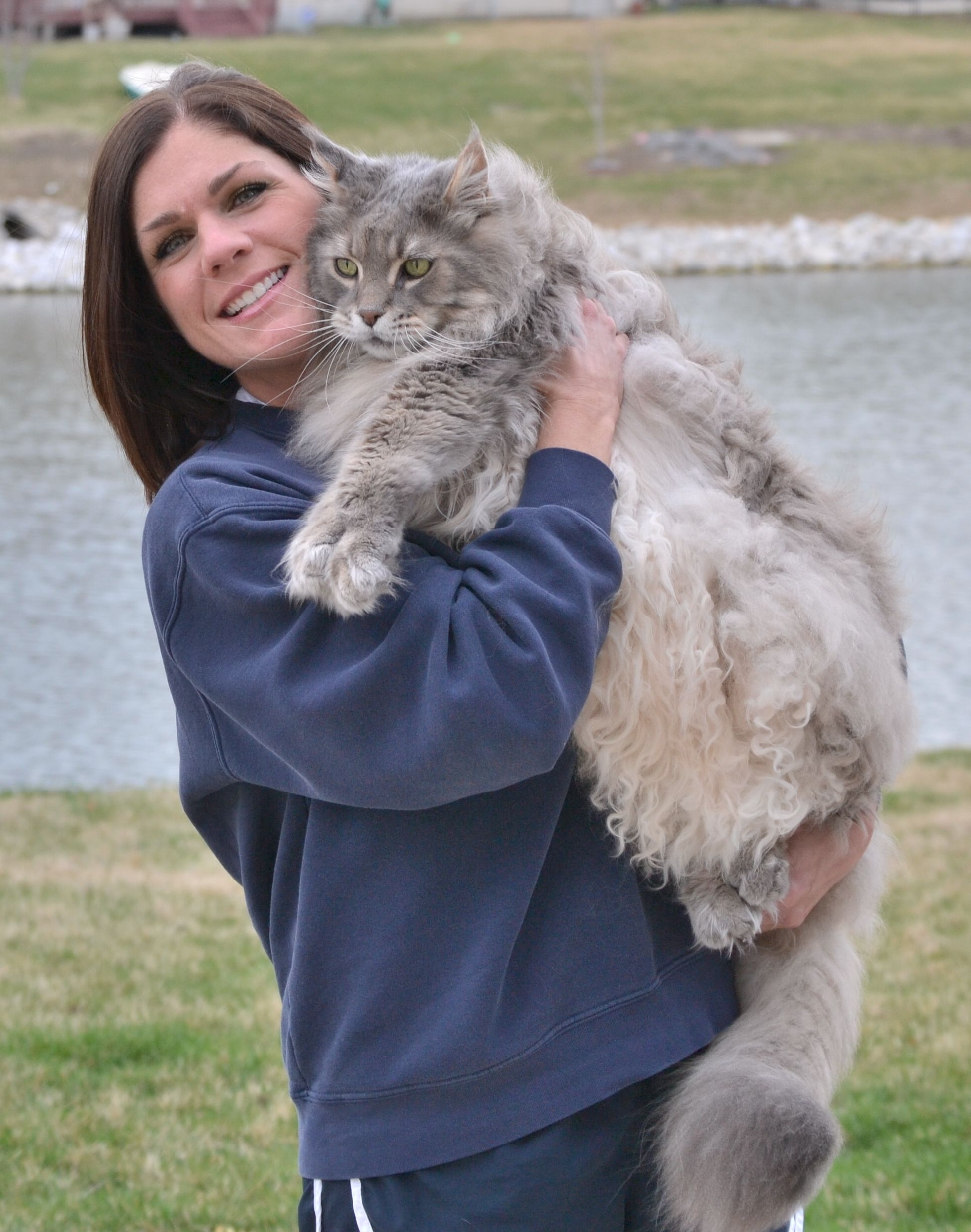 Silver fox | Scrolller