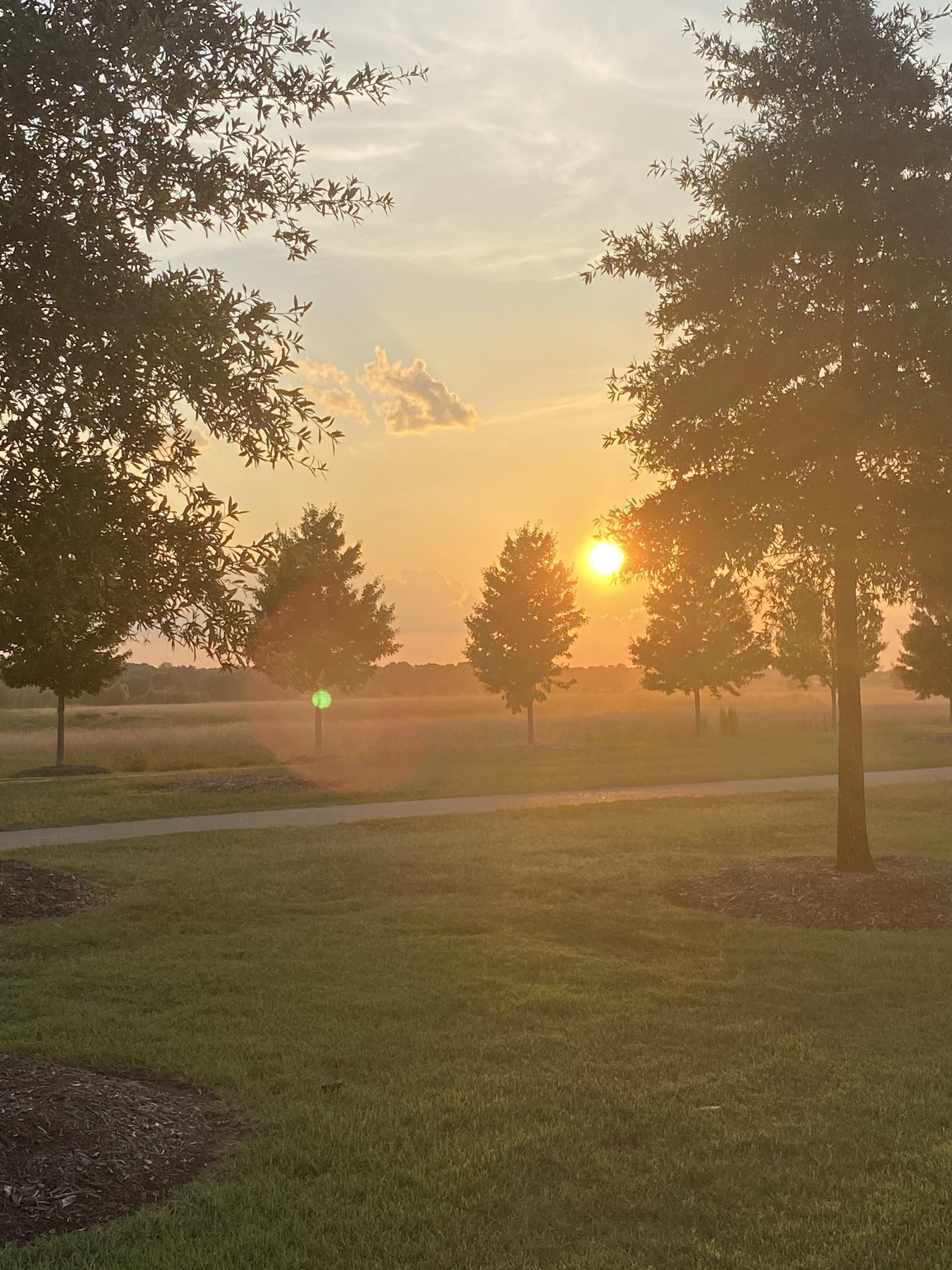 Since others were posting Memphis sunrises, how about a Memphis sunset? | Scrolller