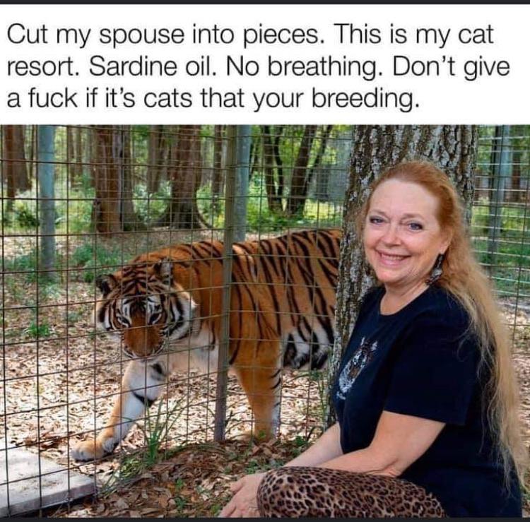 Sing 🎵 along | Scrolller