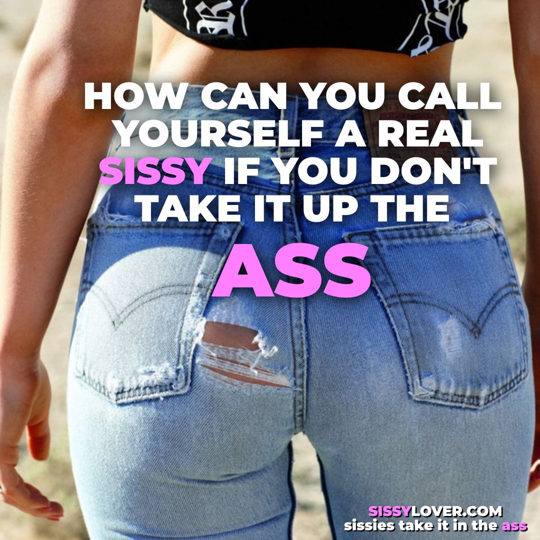 Sissies Take it Up the Ass | Scrolller