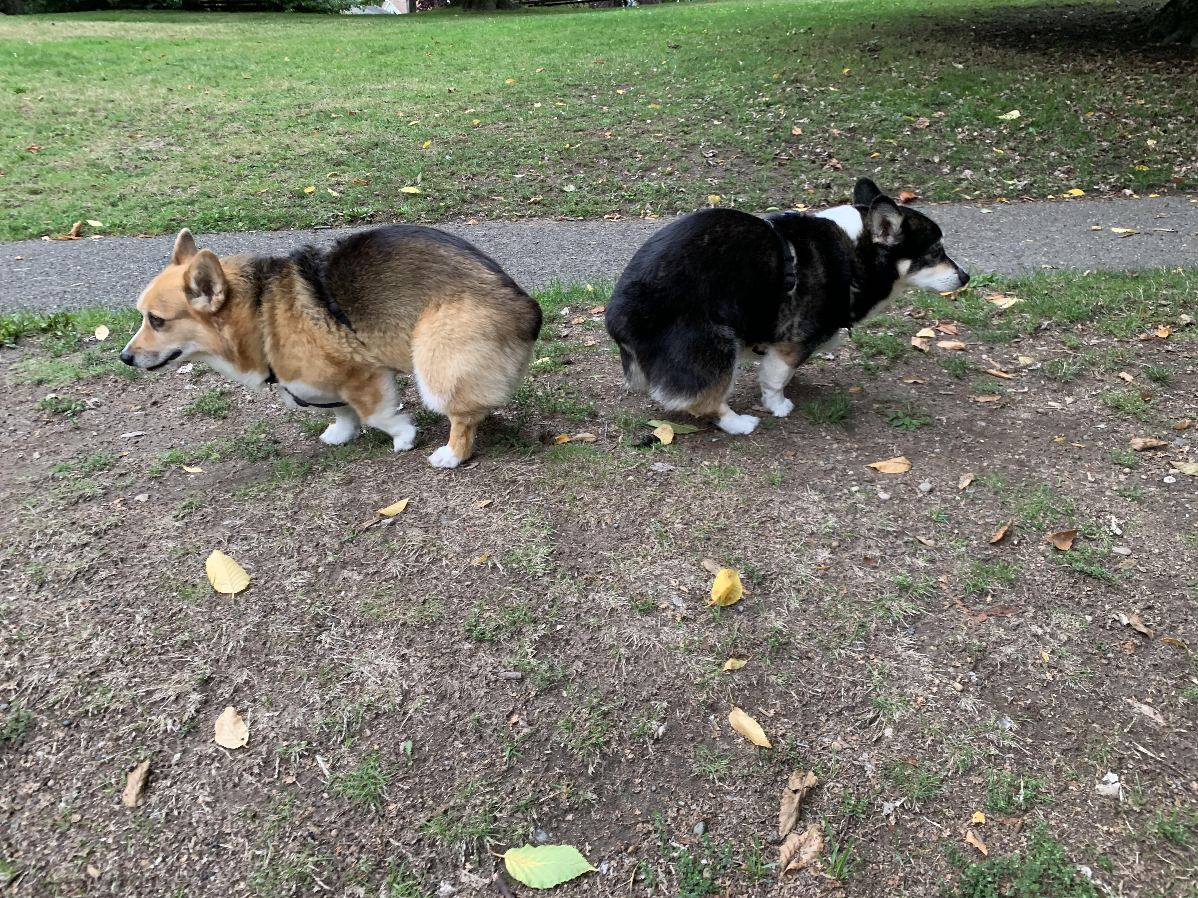 Sister, brother simulpoops! | Scrolller