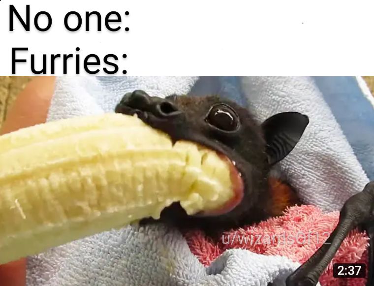 Size Irl Scrolller