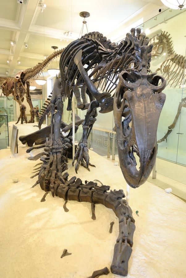 💀Skeleton Sunday💀 | Scrolller