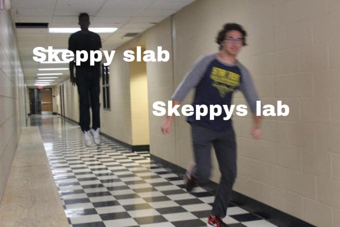 SKEPPY SLAB | Scrolller