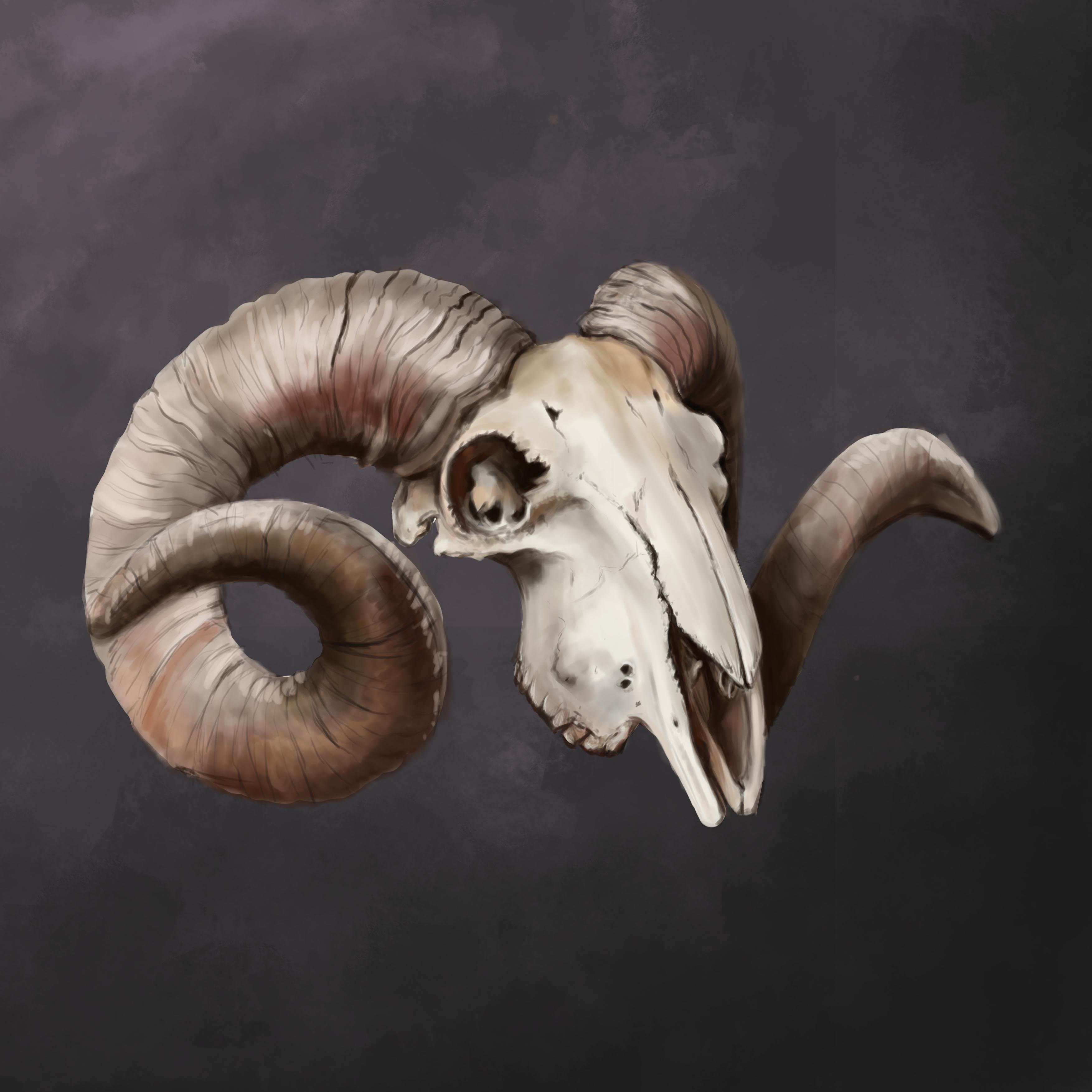 Skull, me, digital, 2021 | Scrolller