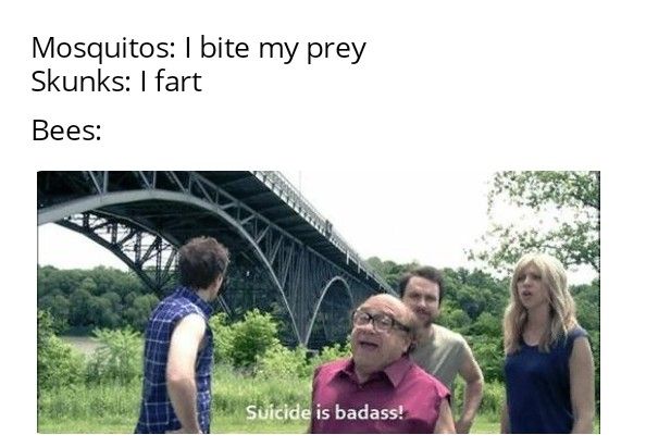 Please nose exhale | Scrolller