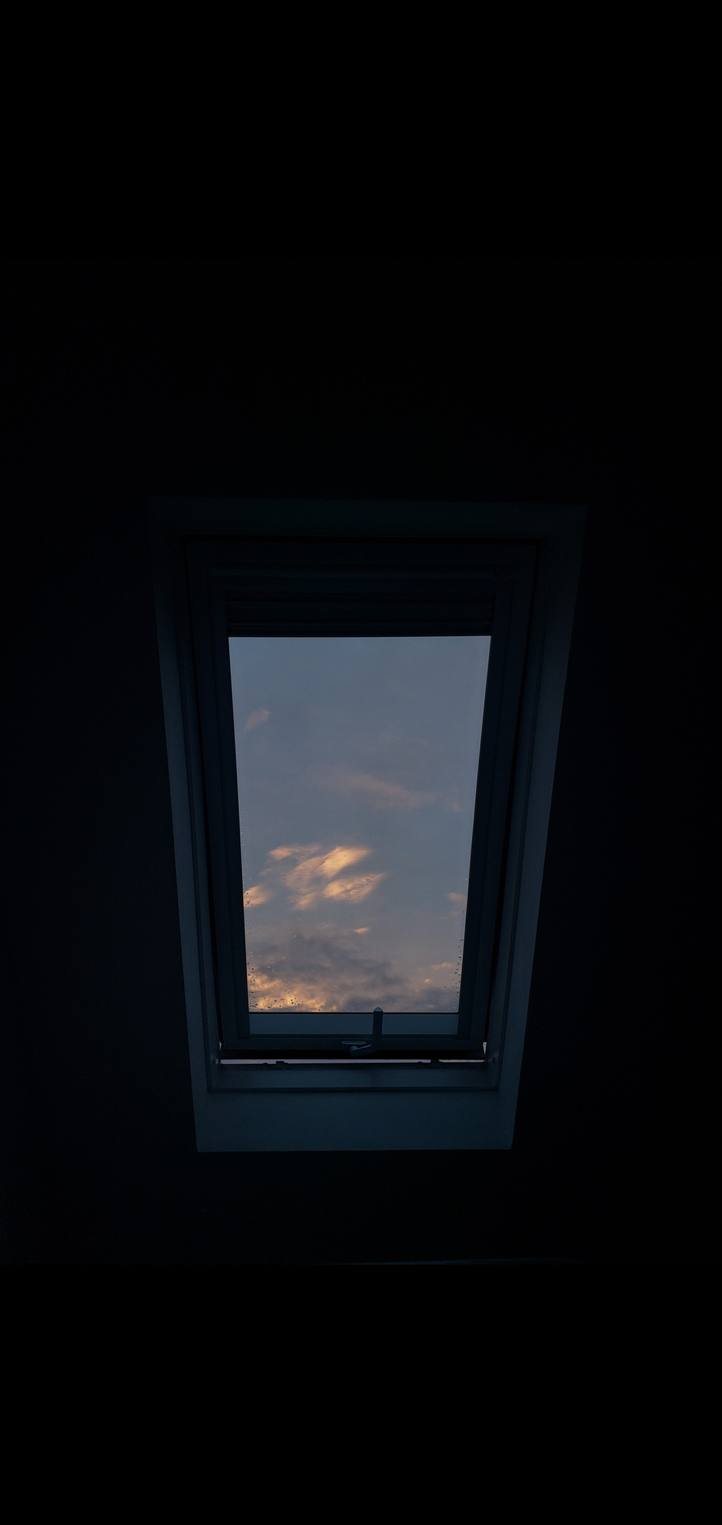 Skylight | Scrolller