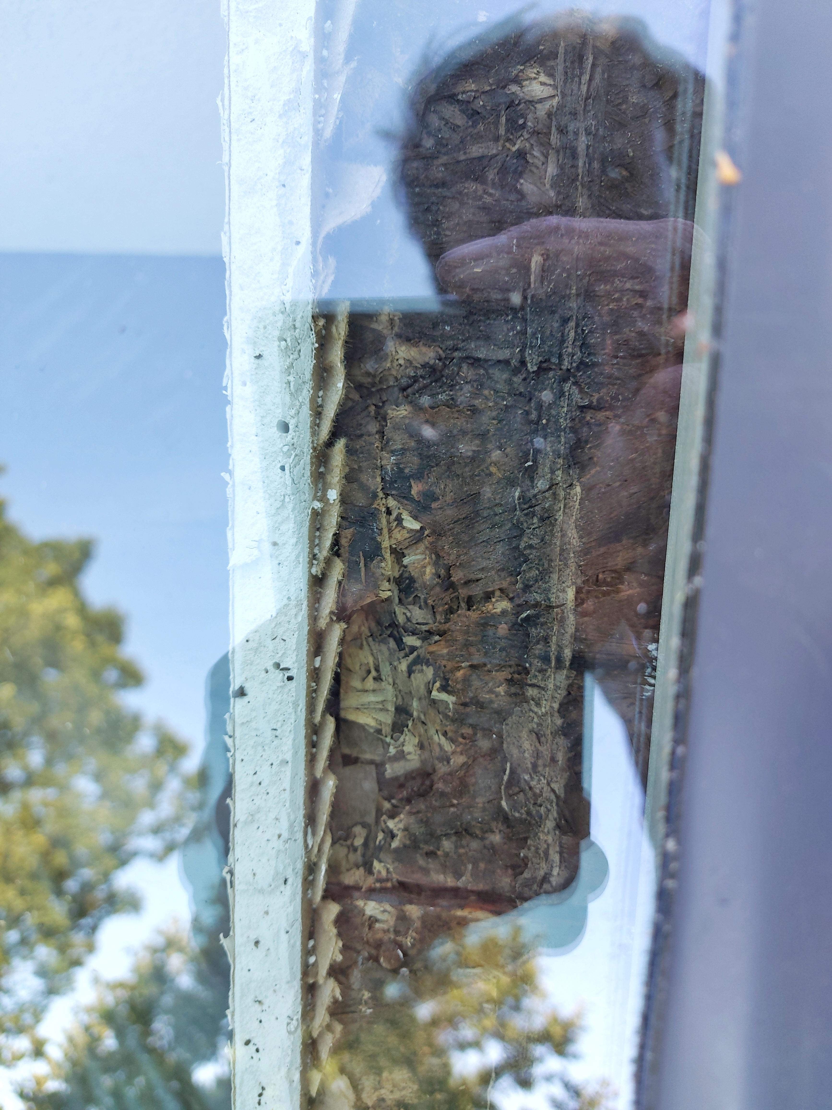 Skylight/roofing issue | Scrolller