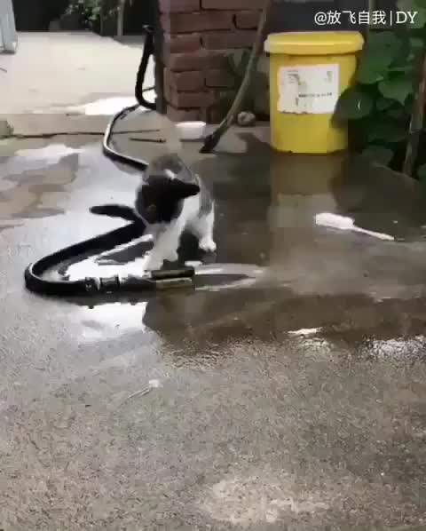 water taps | Scrolller