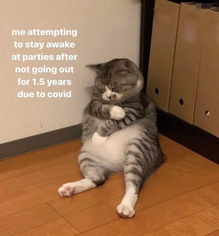 Sleep is for the weak!! | Scrolller