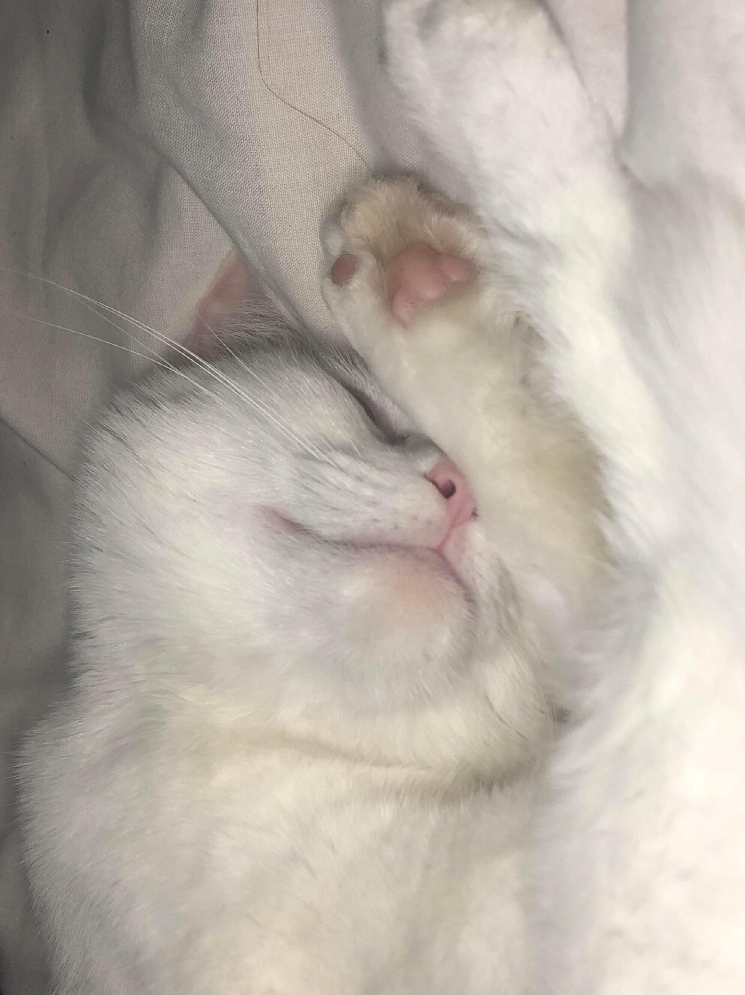 Sleep smile | Scrolller