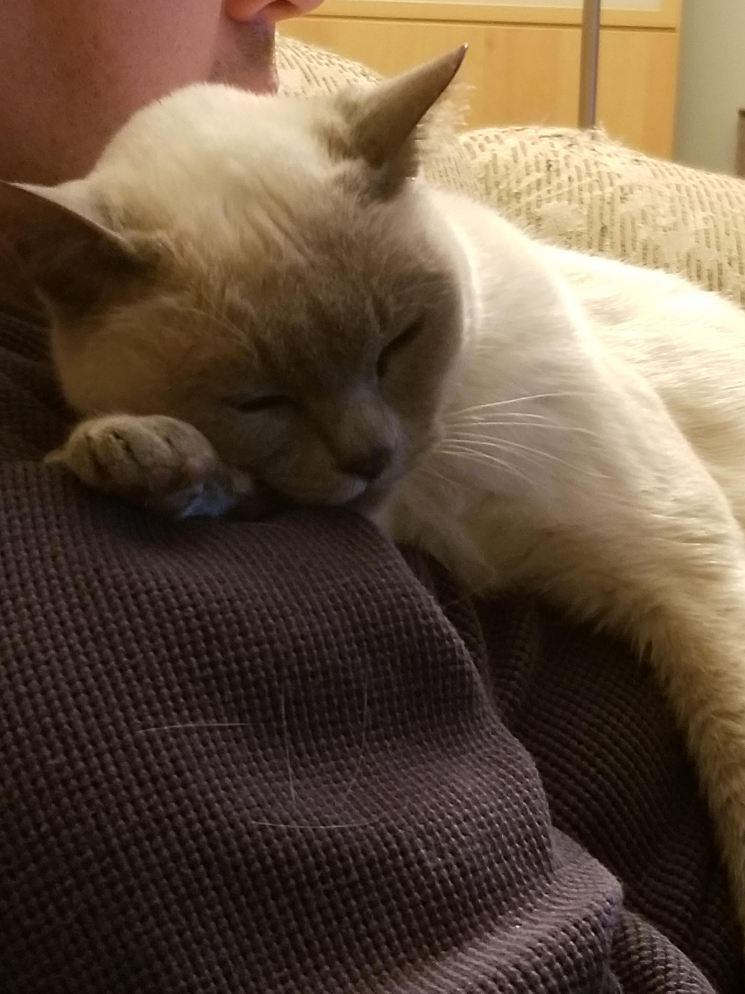 Sleeping Beauty | Scrolller