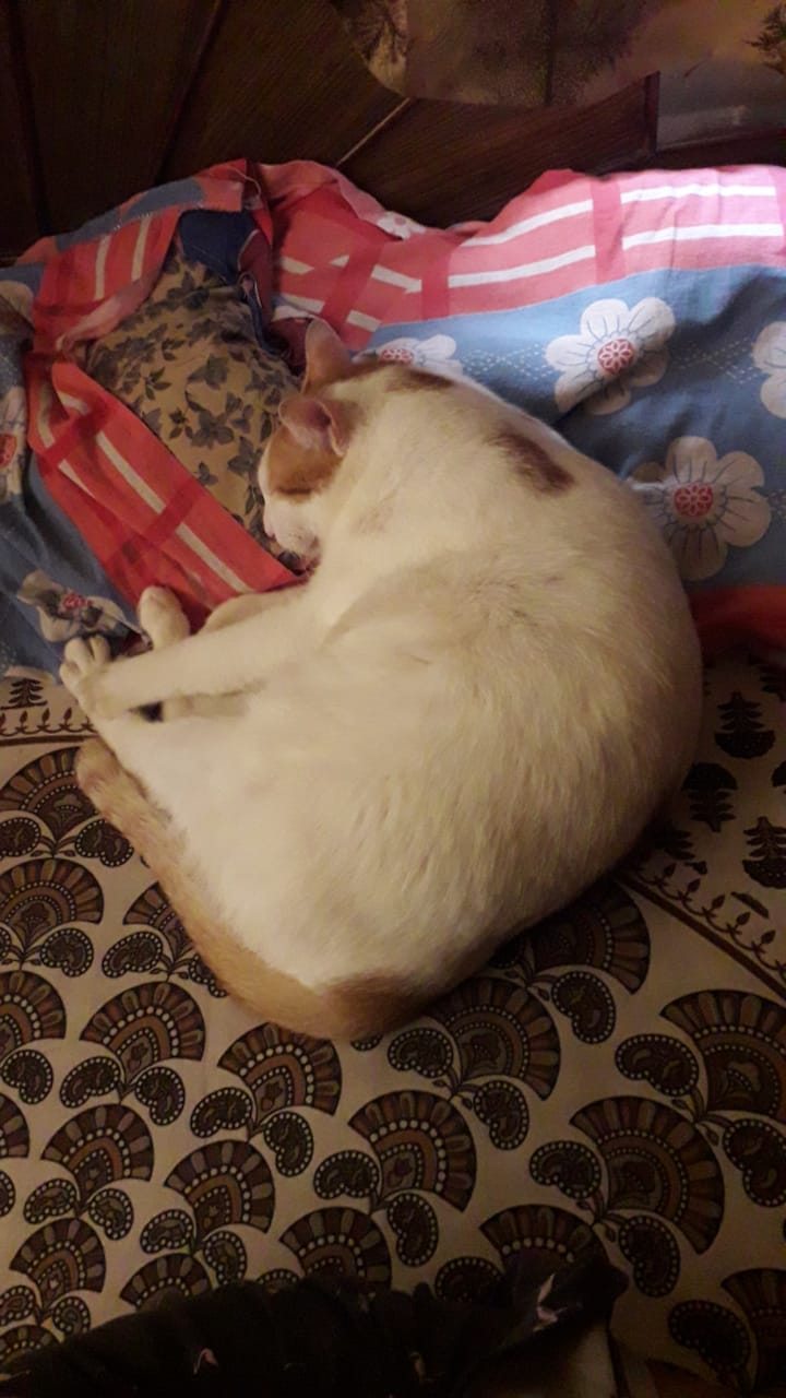 Sleeping beauty 💕 | Scrolller