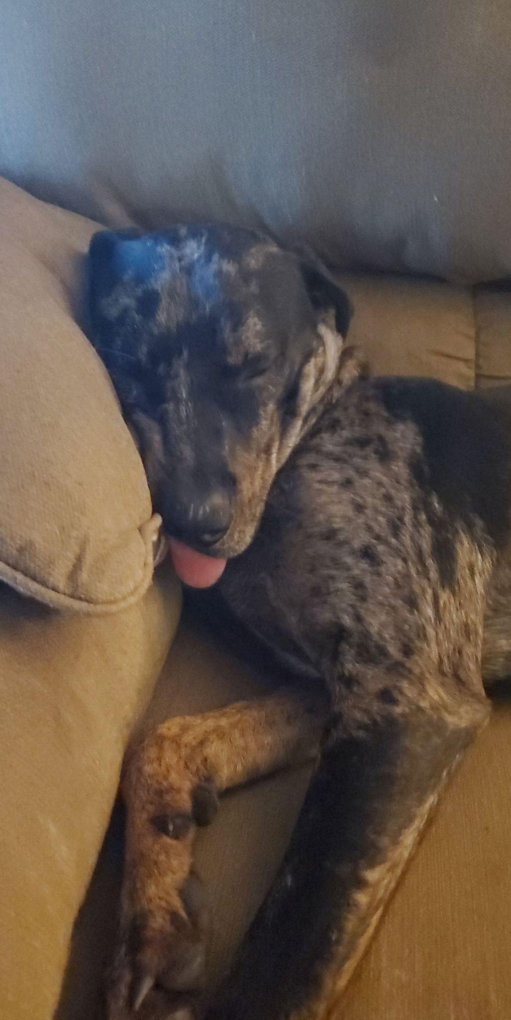 Sleeping bloop | Scrolller