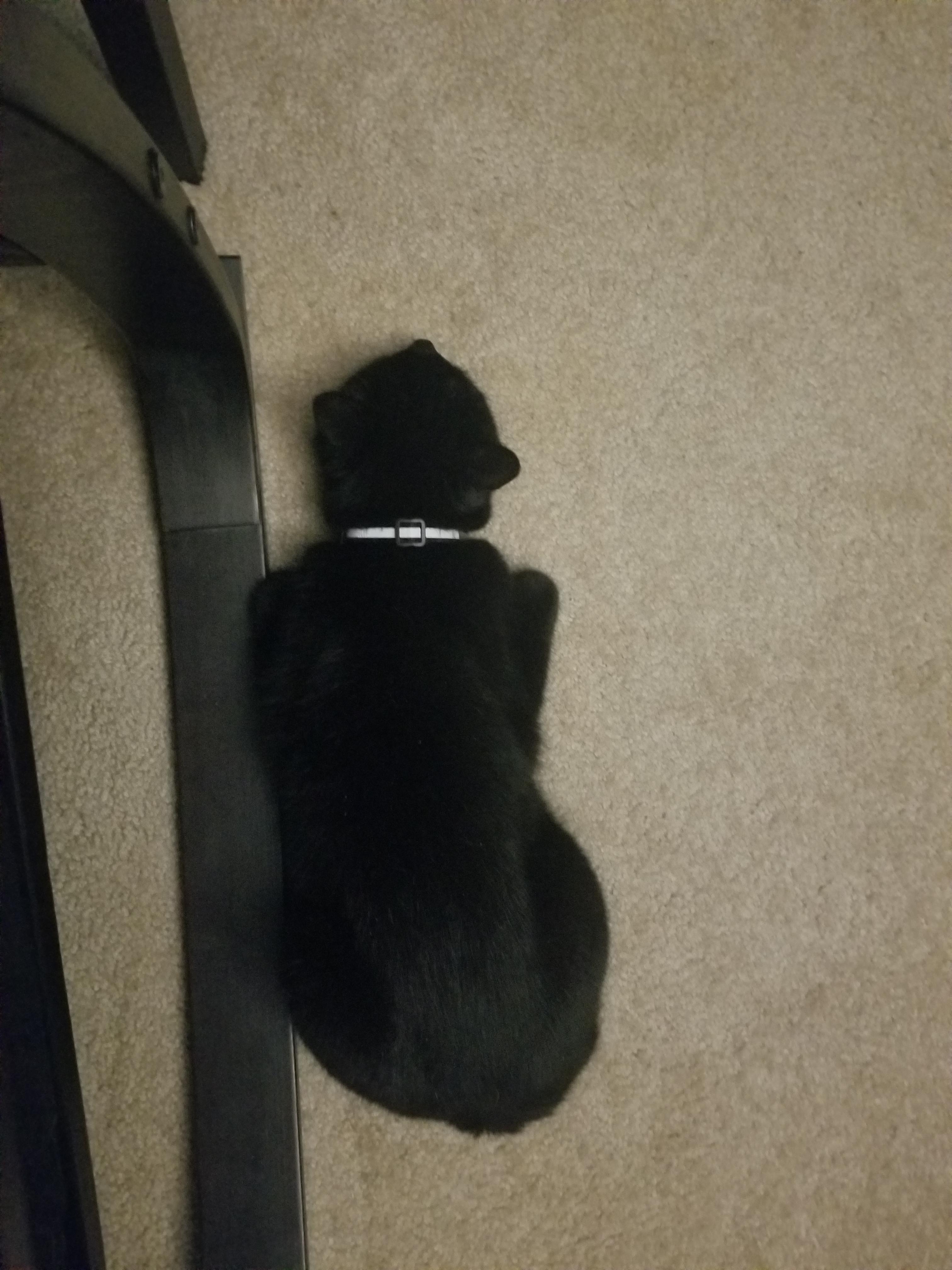 Sleeping dragon void | Scrolller