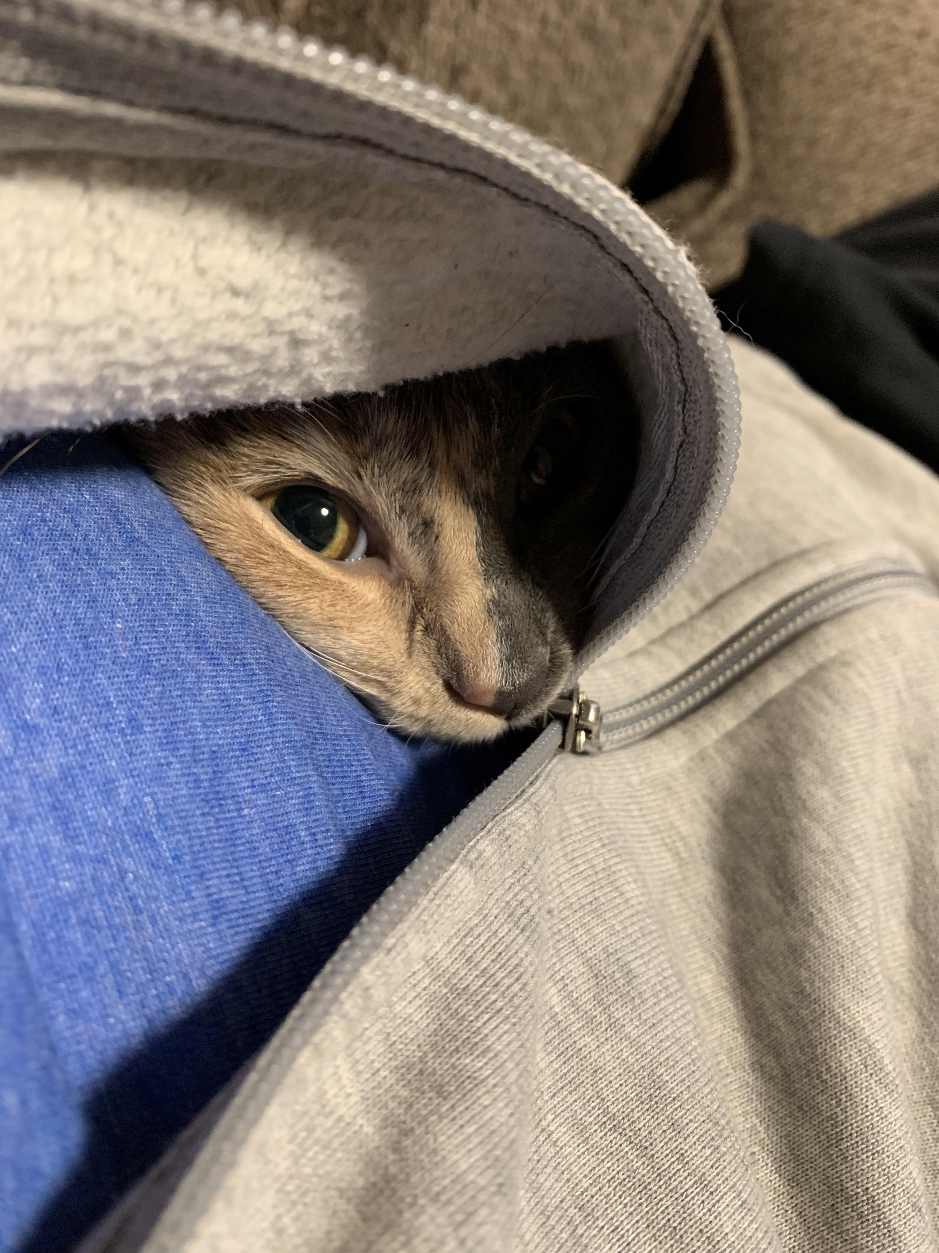 Sleeping in my zip up | Scrolller