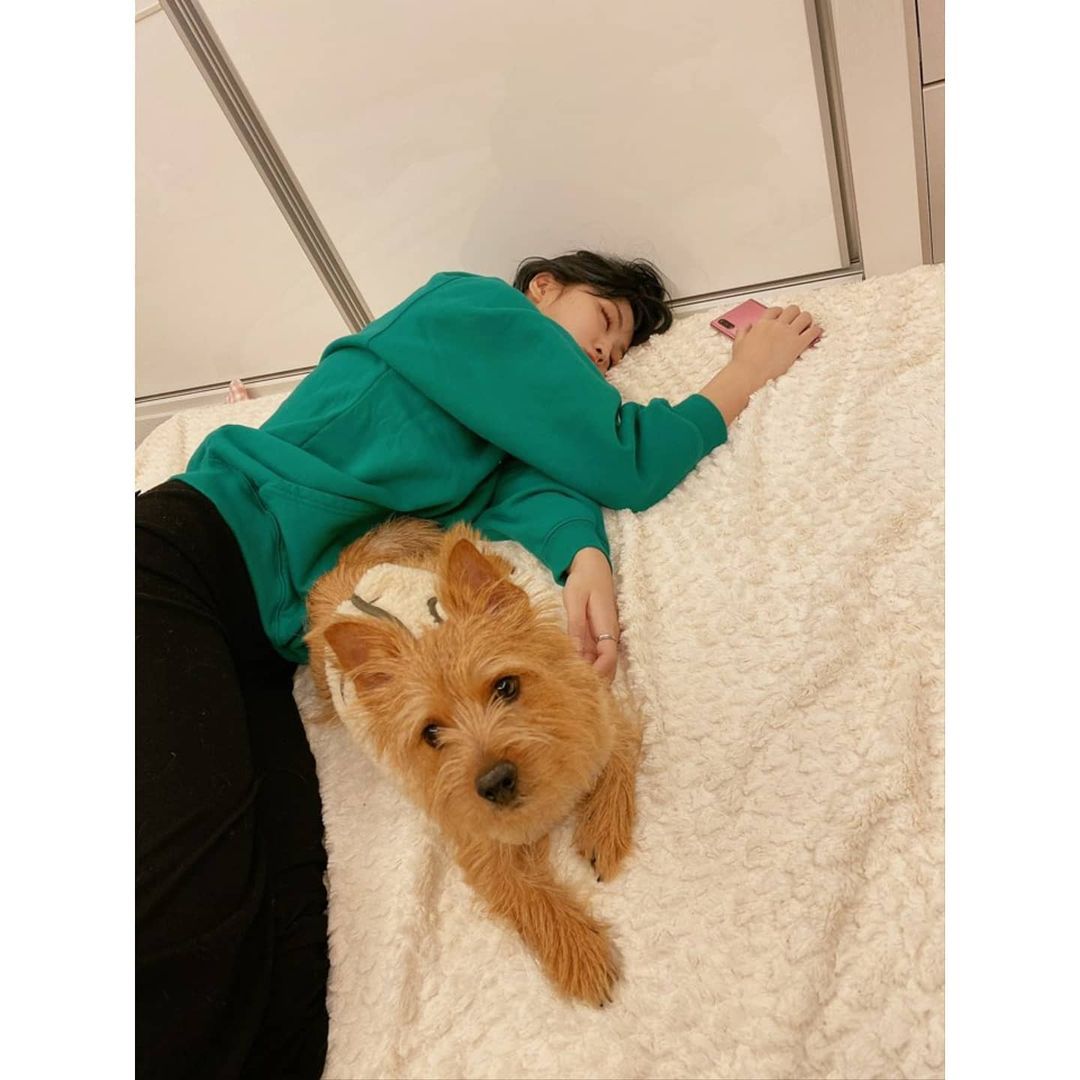 Sleeping Momo | Scrolller