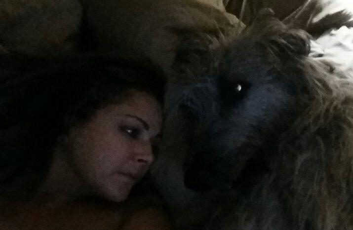 Sleeping with wolves | Scrolller